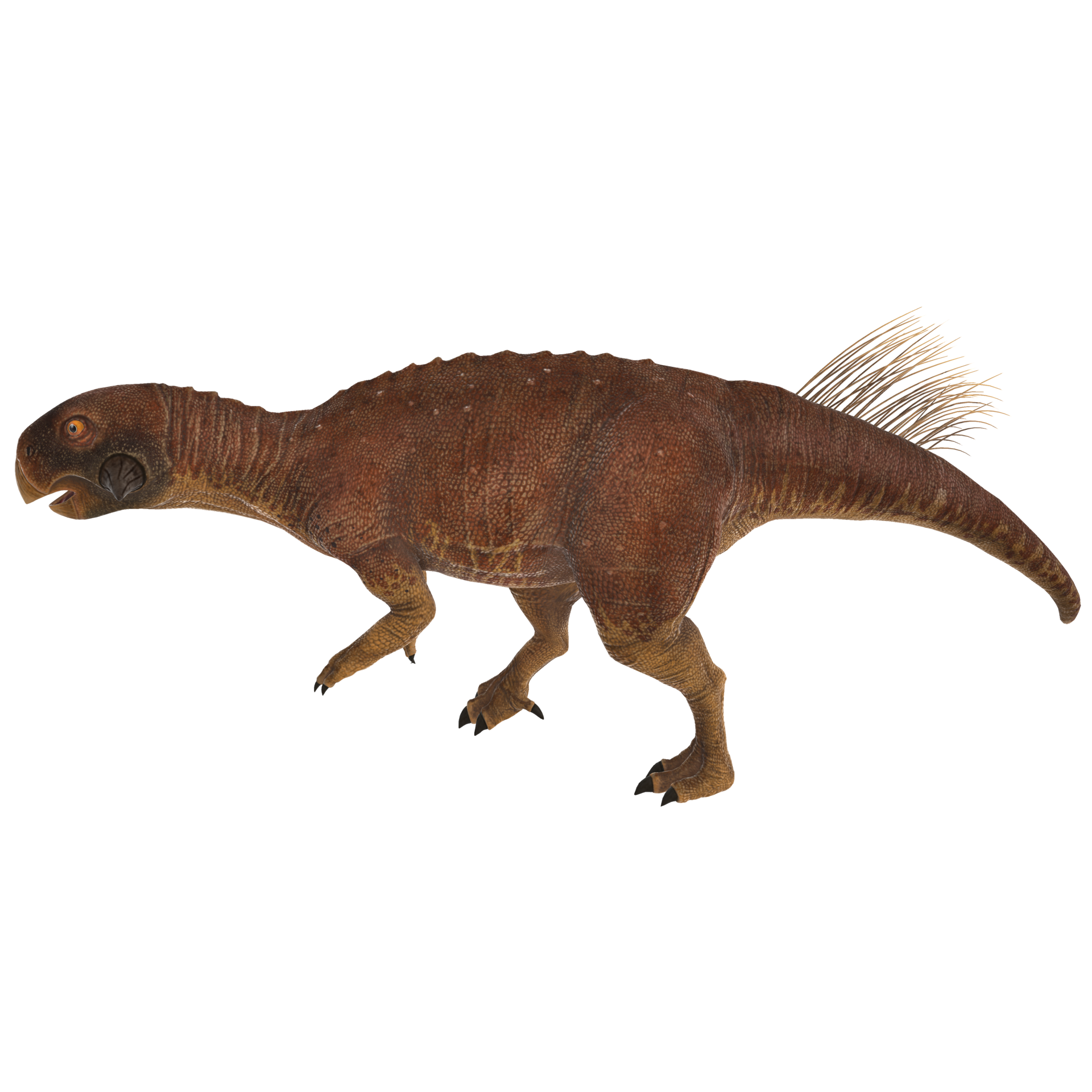 3D Illustration of a Psittacosaurus dinosaur on transparent background. 26851431 PNG