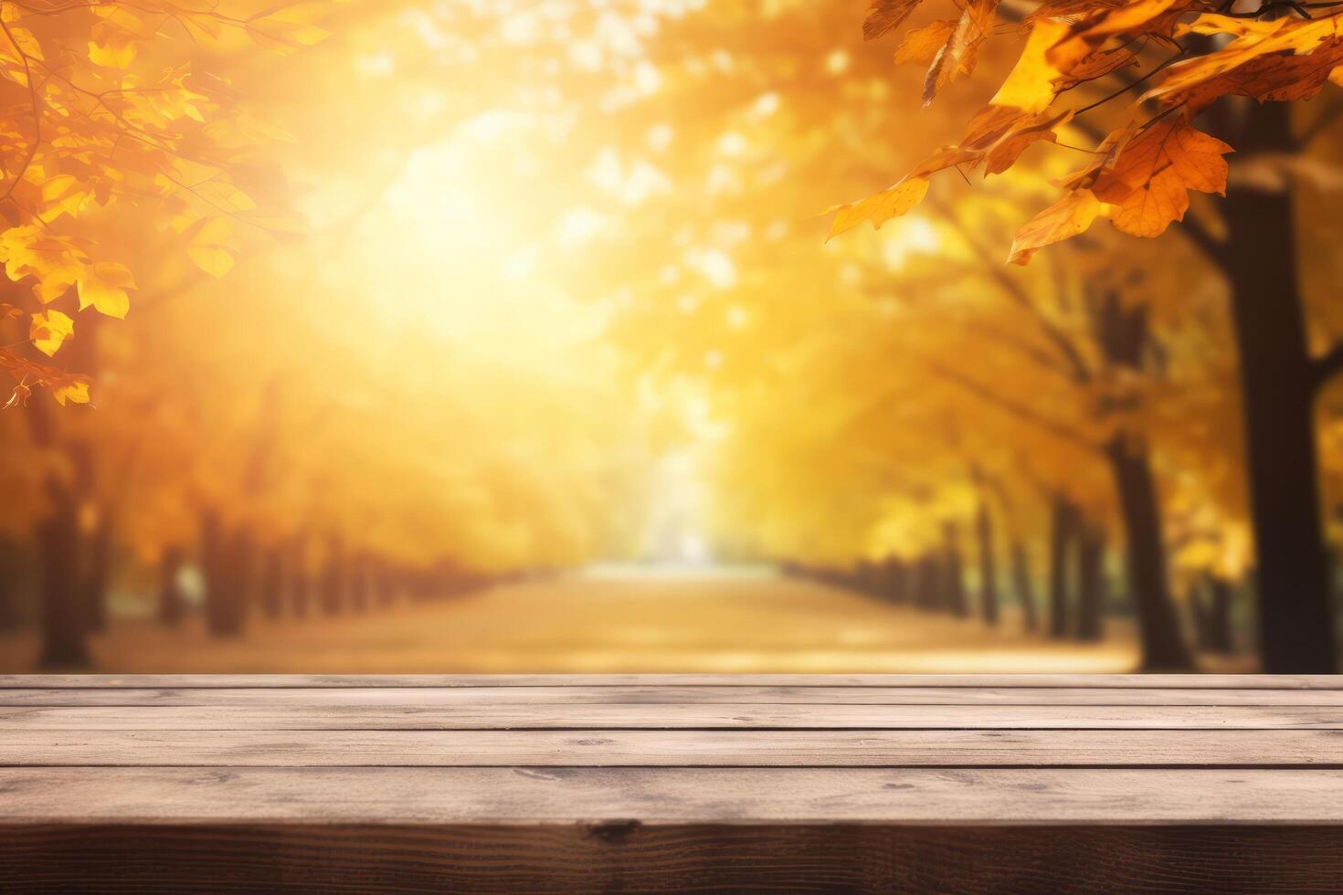 Page 3 | Autumn Stock Photos, Images and Backgrounds for Free Download