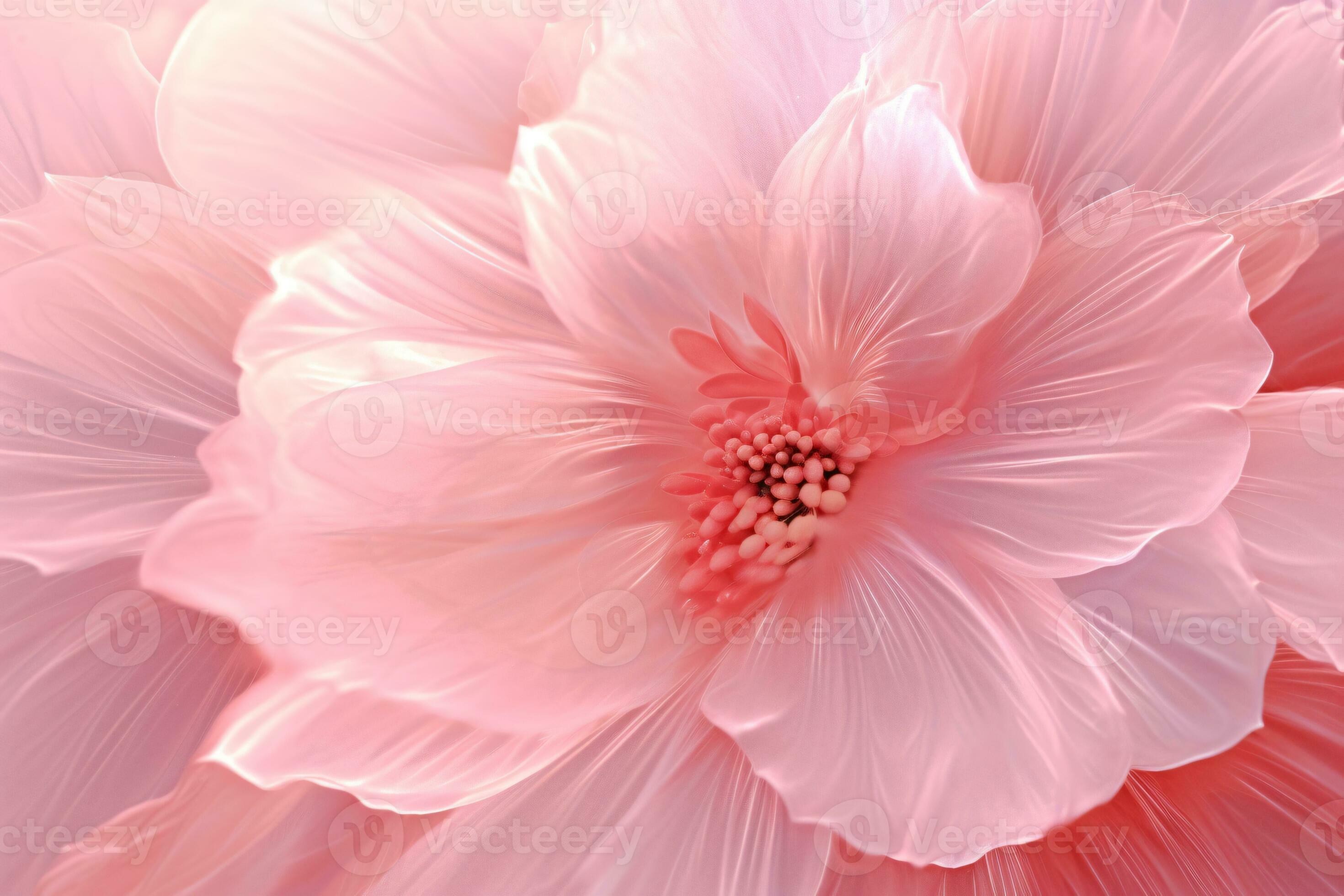 Aesthetic Flower Wallpaper. Ai generative 26950415 Stock Photo at Vecteezy