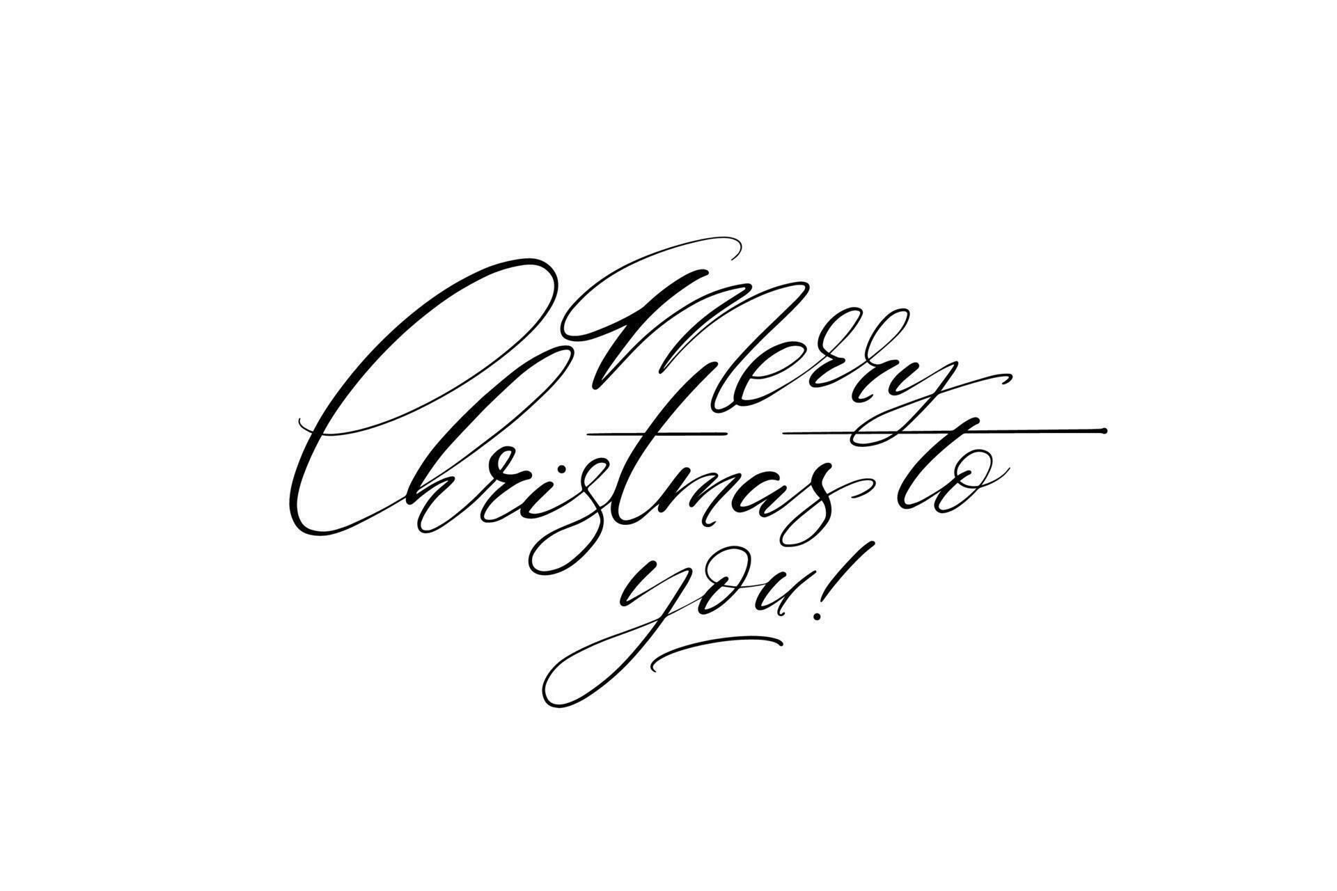 Merry Christmas To You Vector Brush Lettering Hand Drawn Modern Brush