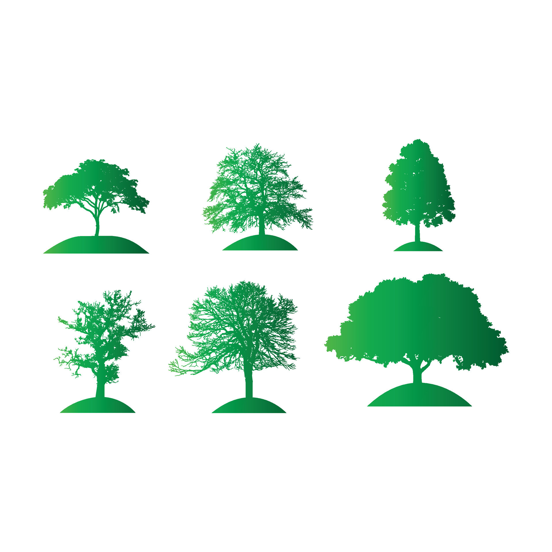 set of tree vectors isolated on white background 26961364 Vector Art at ...