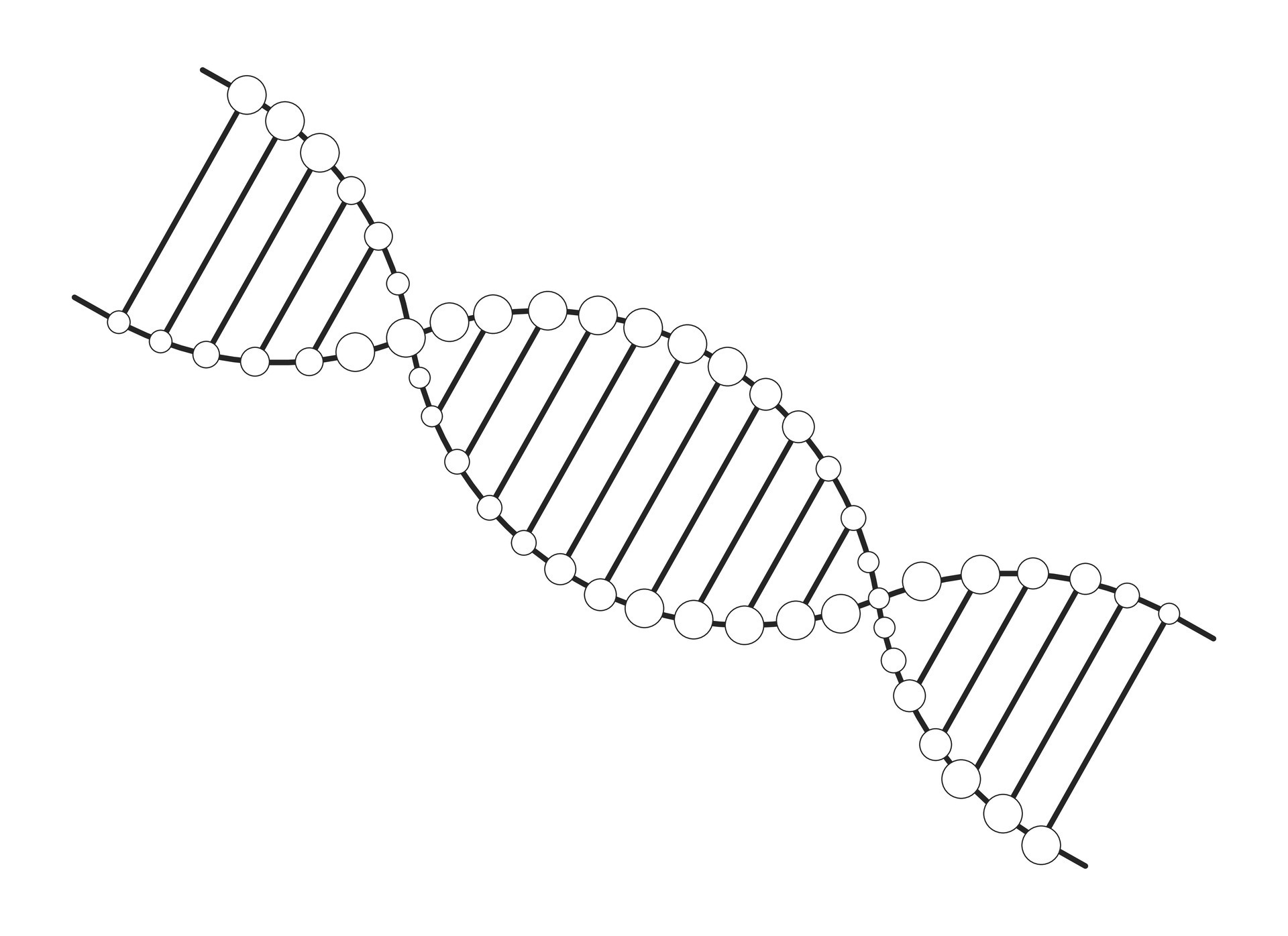 Dna Helix Flat Monochrome Isolated Vector Object Genetic Information