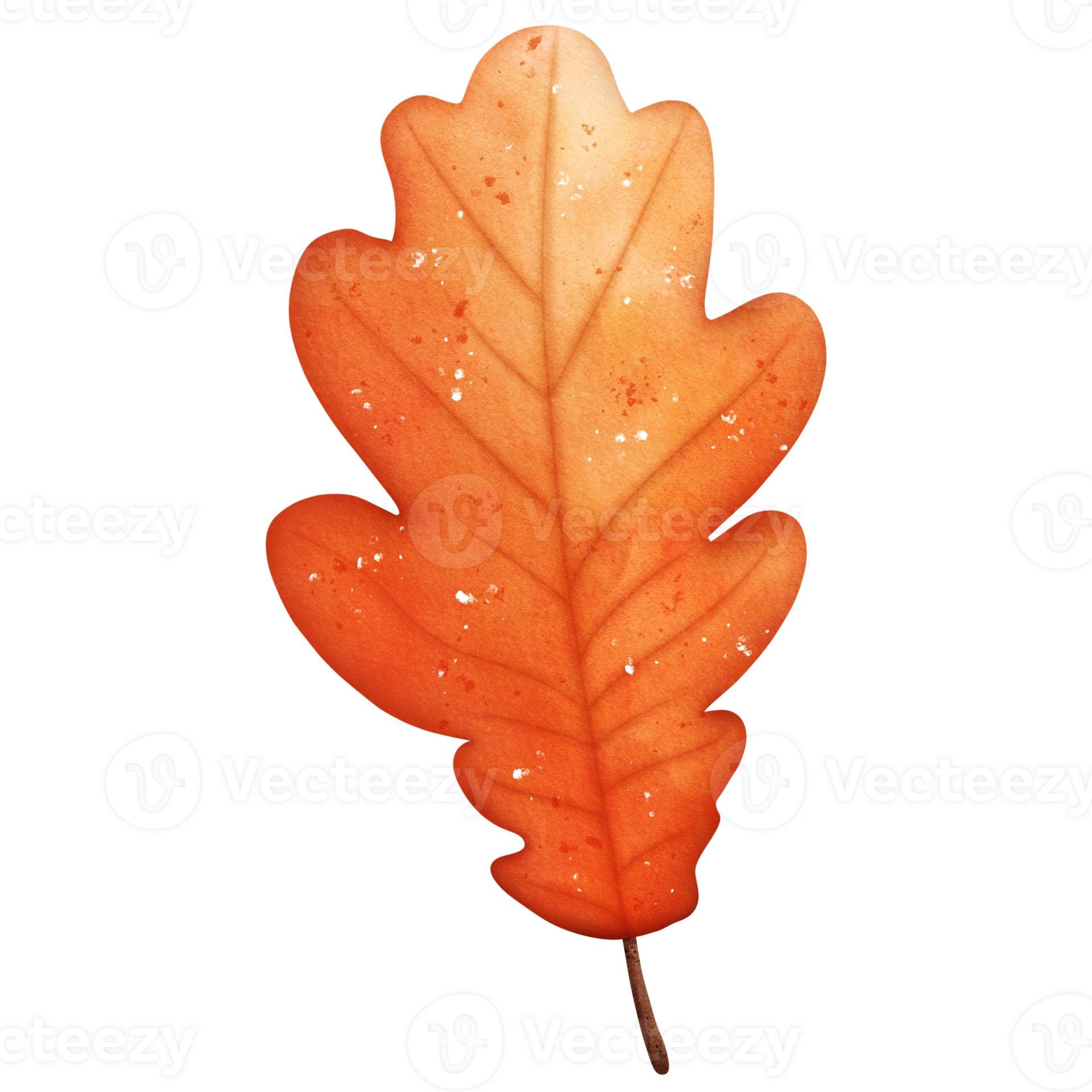 Watercolor Autumn Leaf 26972563 PNG