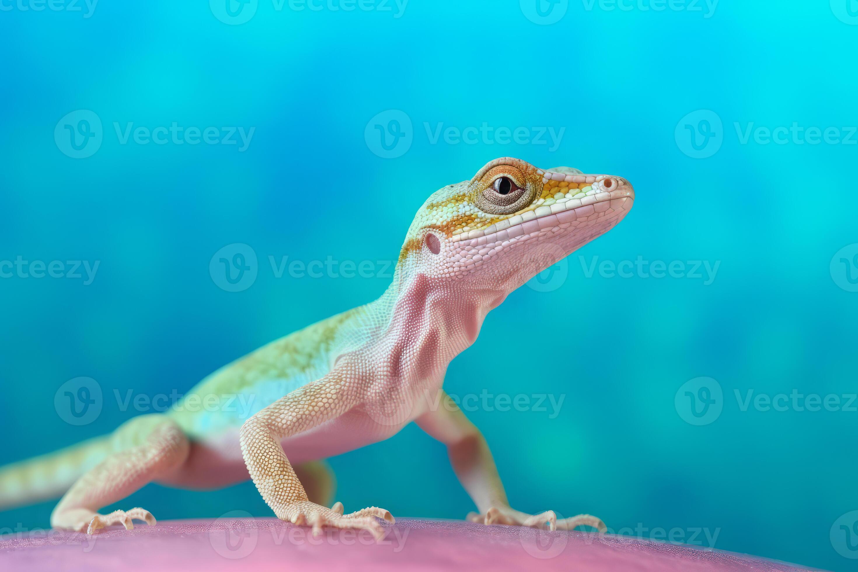 Very cute Anole in nature, national geography, Wide life animals. AI ...