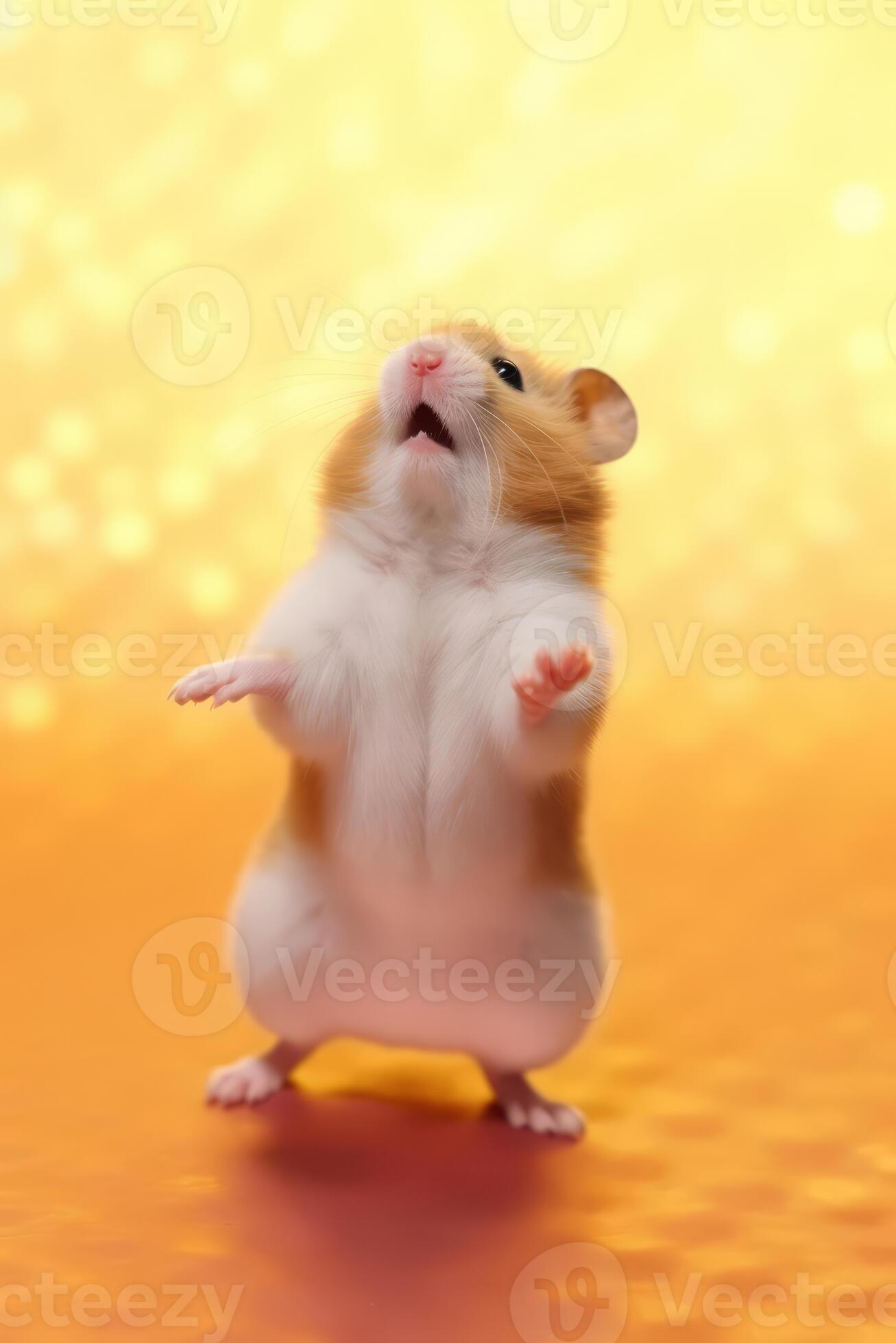 Very cute baby Hamster in nature, national geography, Wide life animals ...