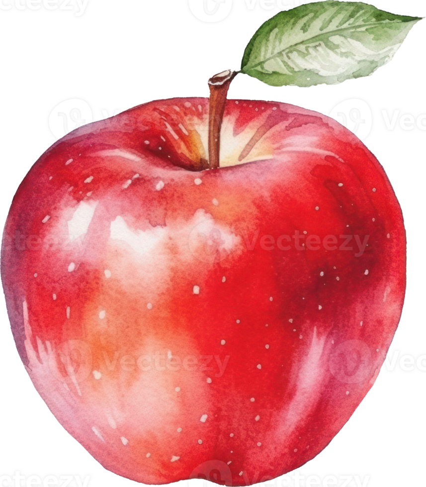 Red Apple Watercolor Illustration. 26976534 PNG