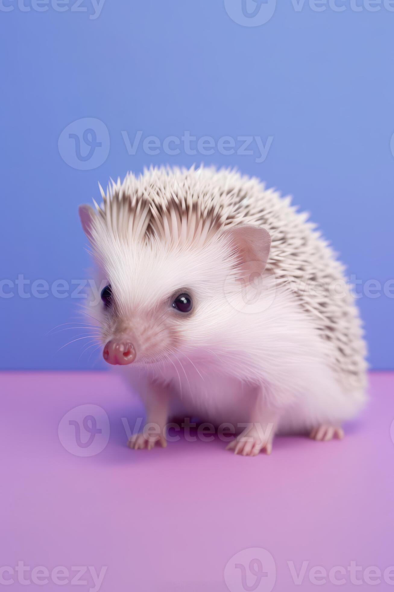 Very cute baby Hedgehog in nature, national geography, Wide life ...