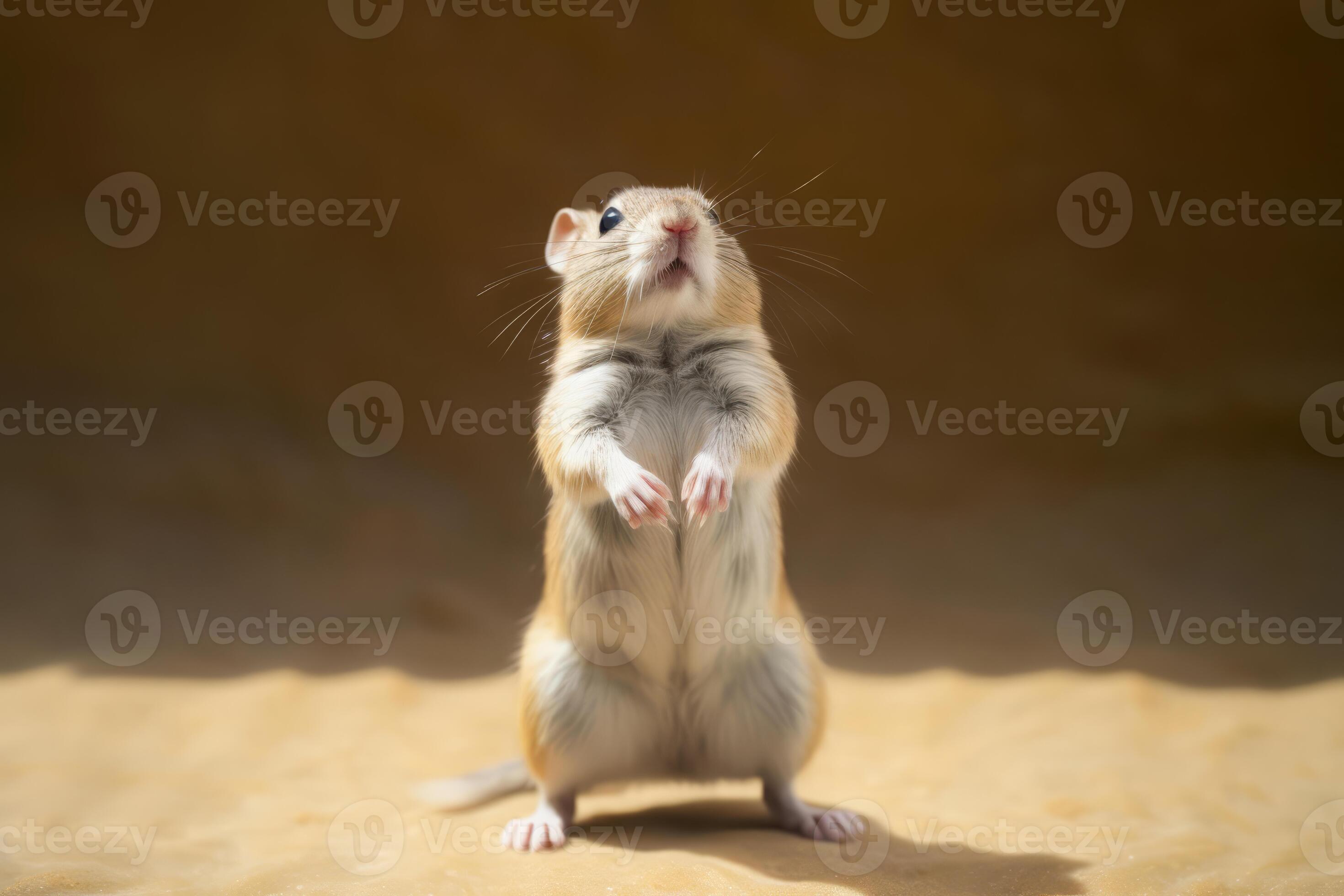 Very cute Gerbil in nature, national geography, Wide life animals. AI ...
