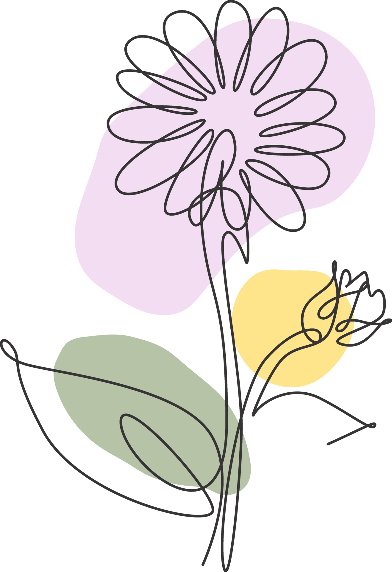 Single Continuous Line Drawing Minimalist Beauty Sunflower Floral