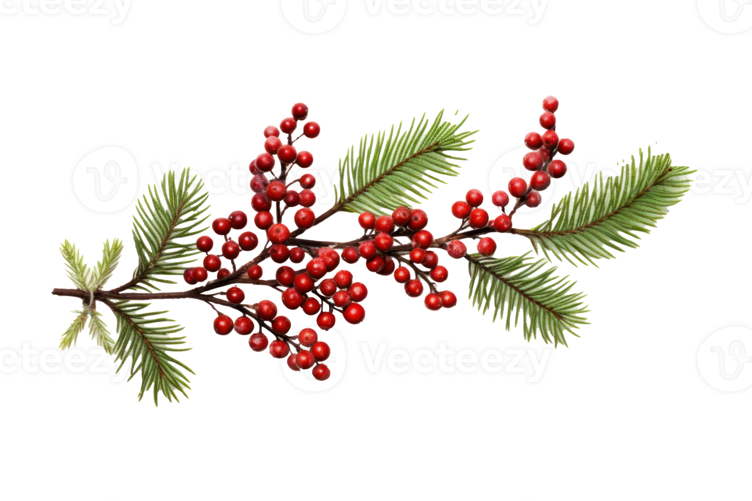Pine Branches PNGs for Free Download Pine Branches PNGs for Free Download