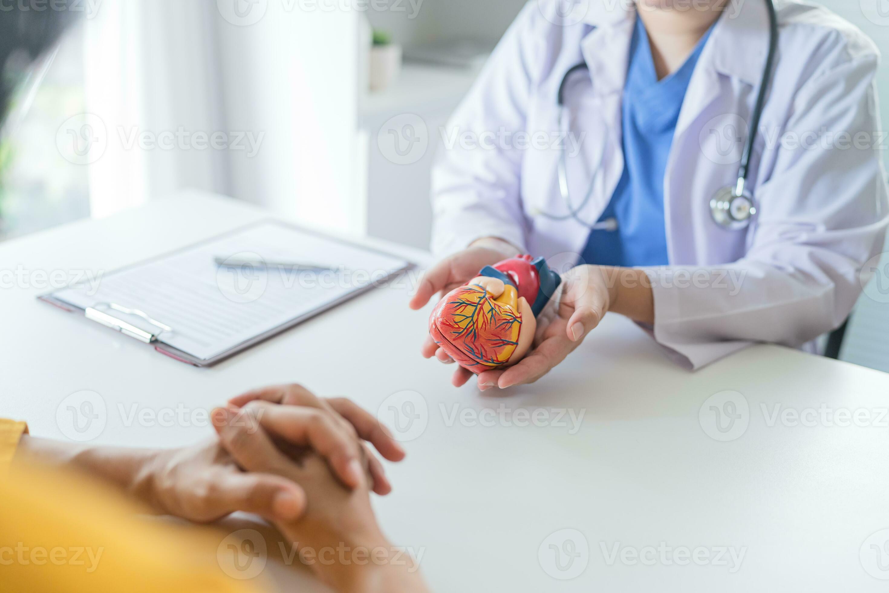 Cardiology Consultation Treatment Of Heart Disease Doctor Cardiologist