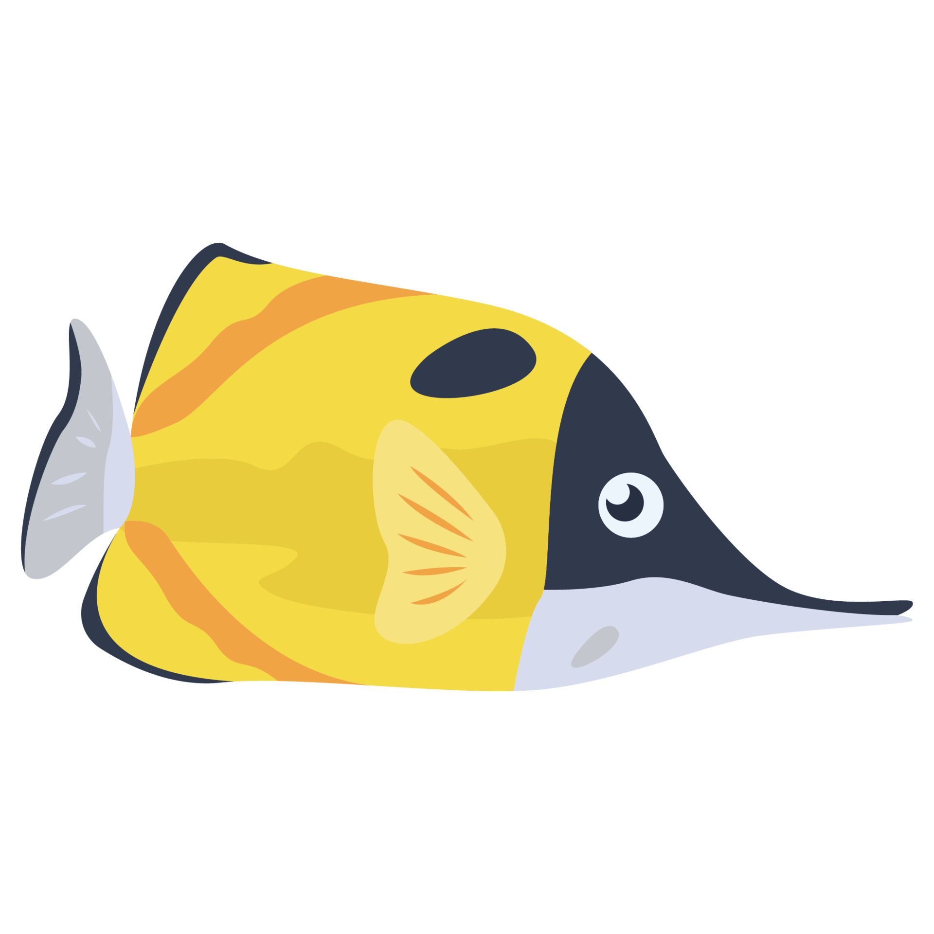 Longnose Fish 2D Color Illustrations 27077423 PNG Longnose Fish 2D Color Illustrations 27077423 PNG