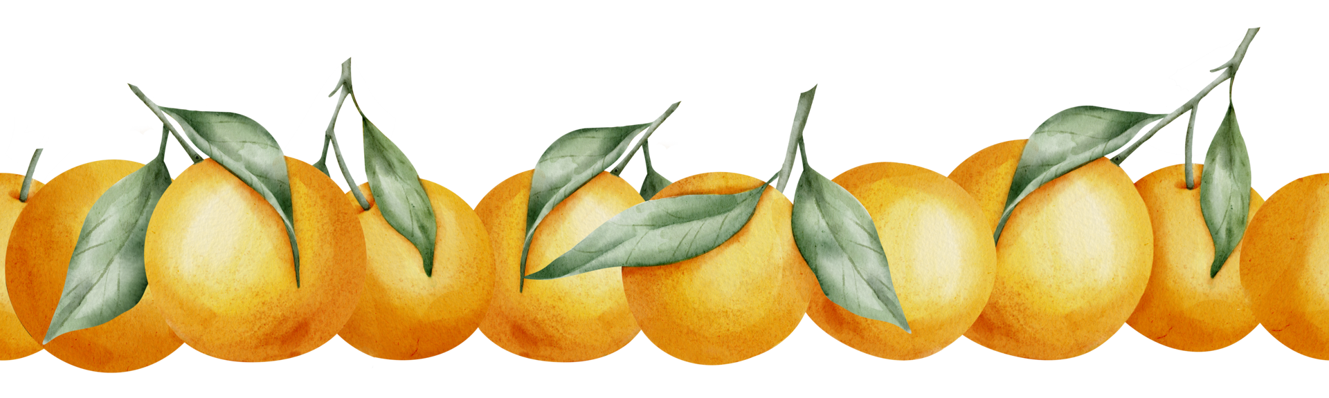 Orange seamless Border. Hand drawn watercolor illustration of citrus ...