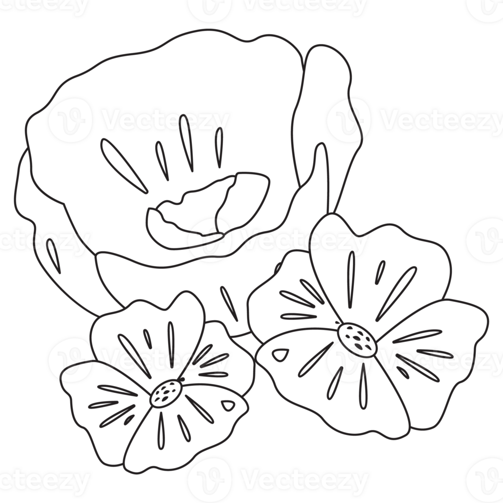 Poppy Flowers Memorial Day Outline 2d Illustrations 27125498 Png