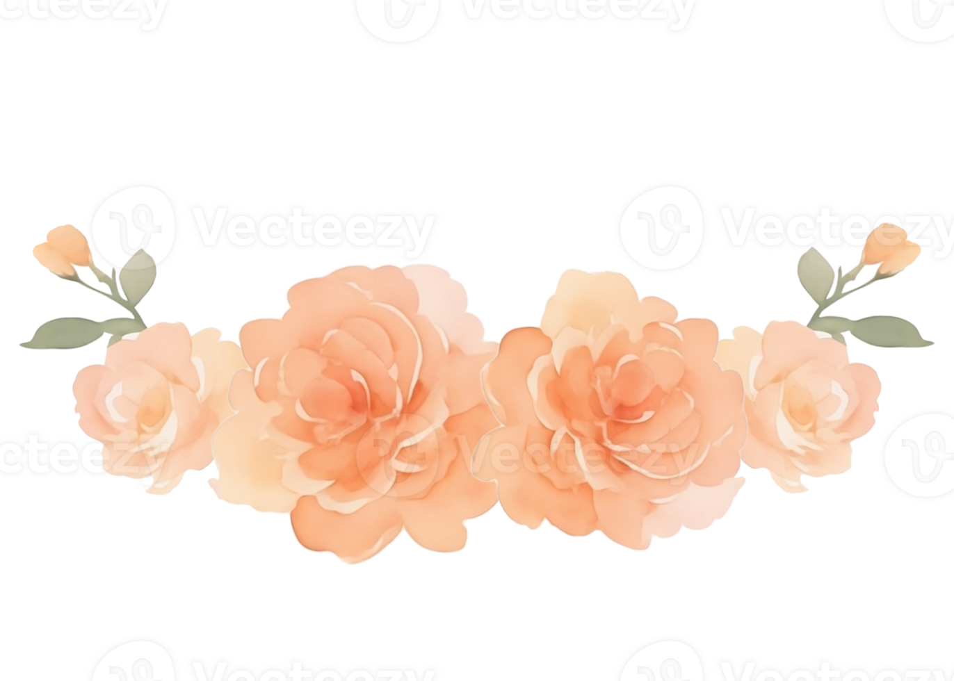Peach roses bouquet clip art 27131780 PNG