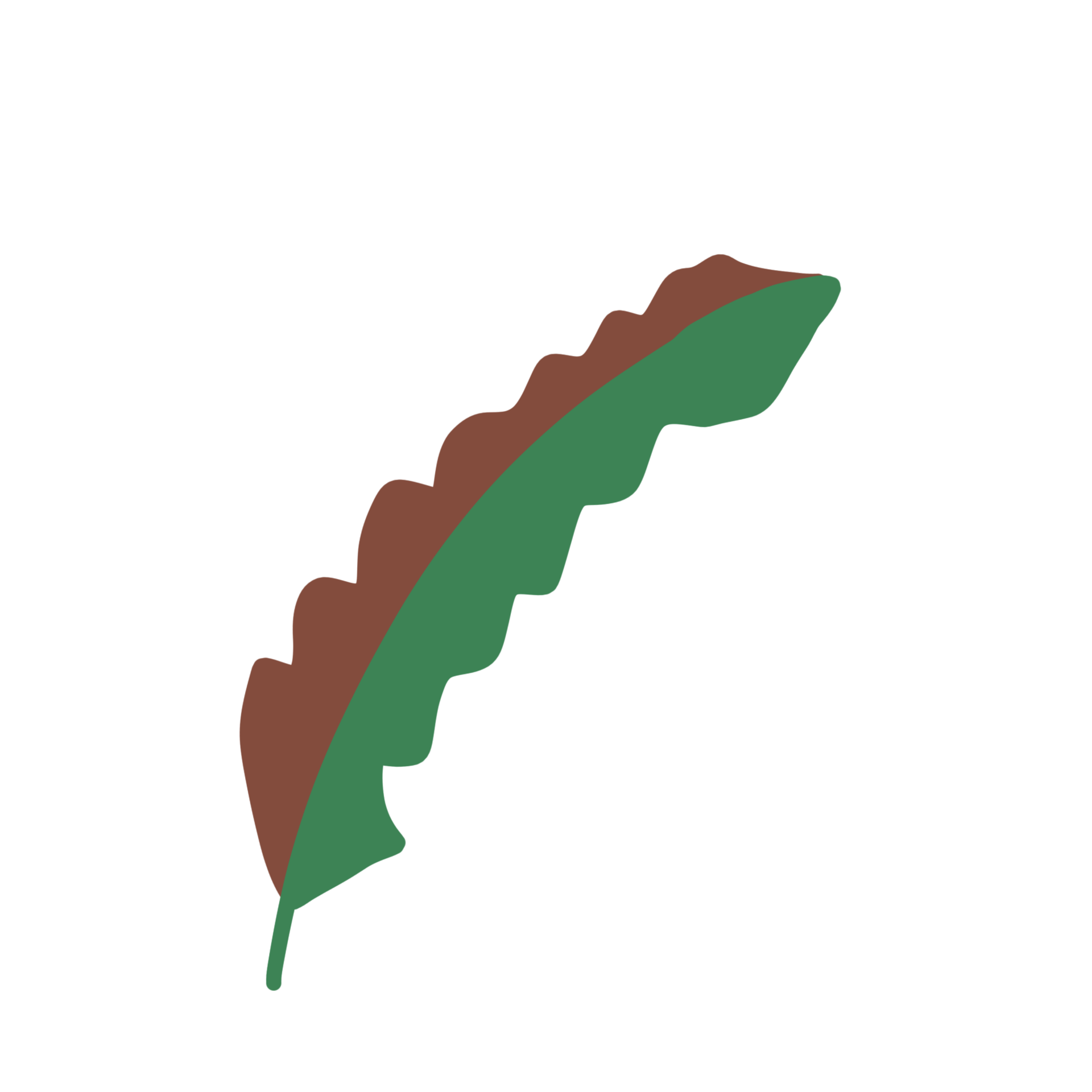 Simple Leaf Nature 27134547 PNG simple-leaf-nature-27134547-png