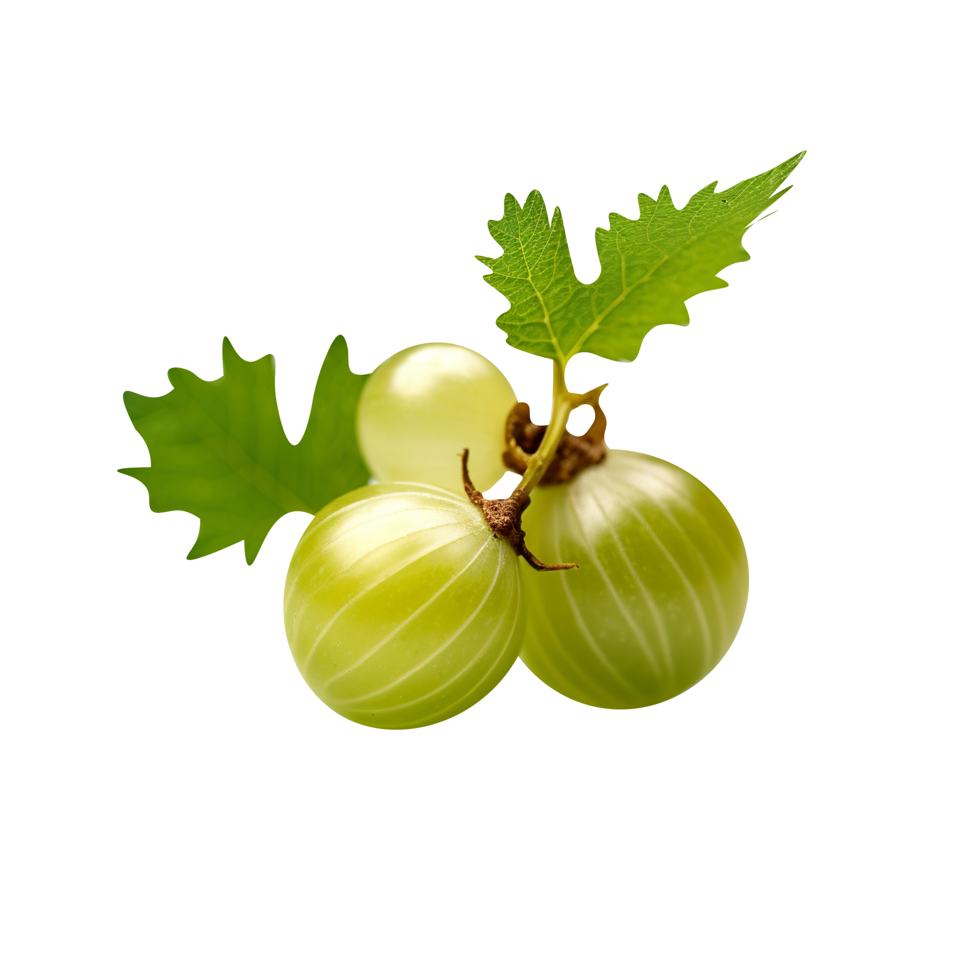 Fresh indian gooseberry isolated on transparent background 27143532 PNG