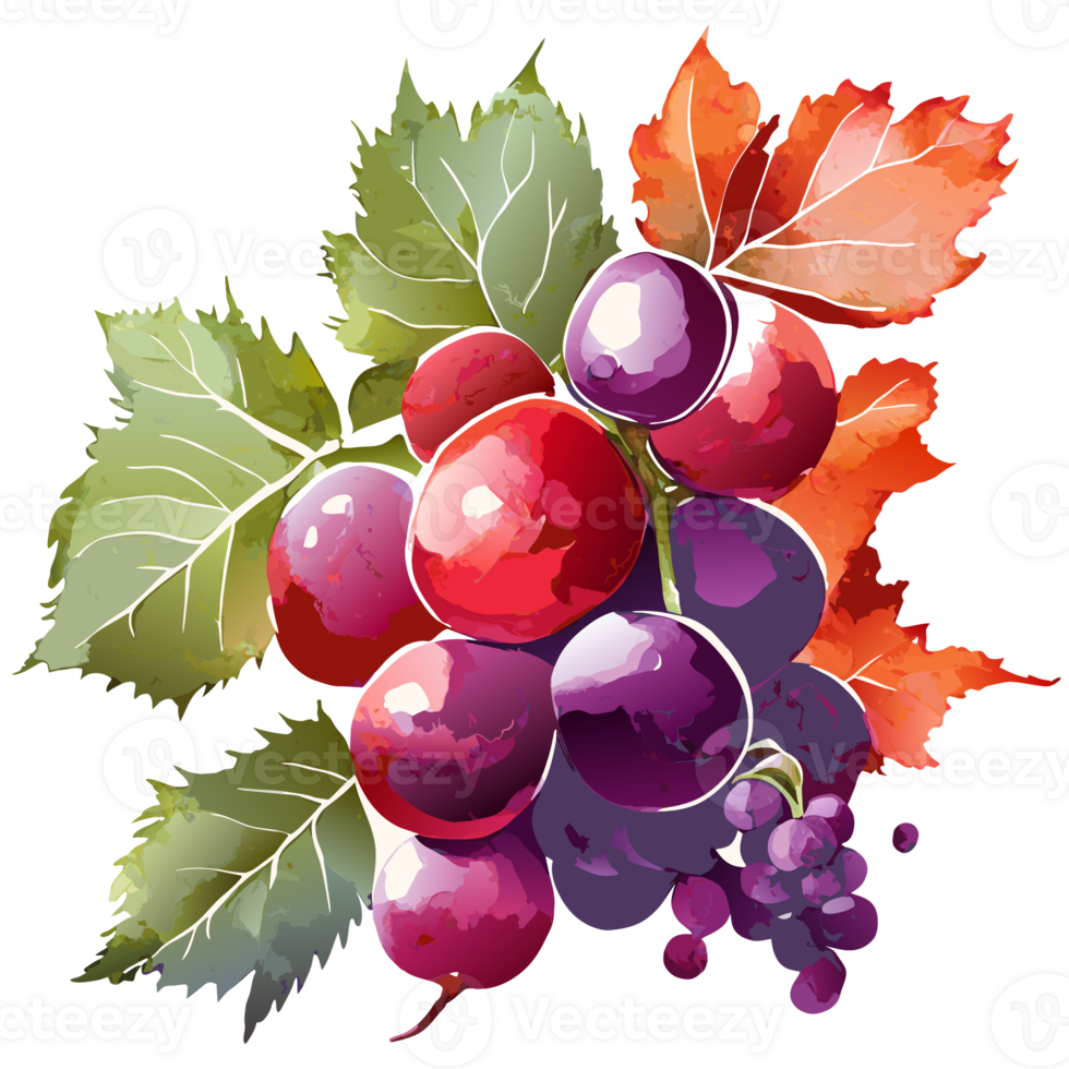 rojo uva con hojas agua color. ai generativo 27146884 PNG