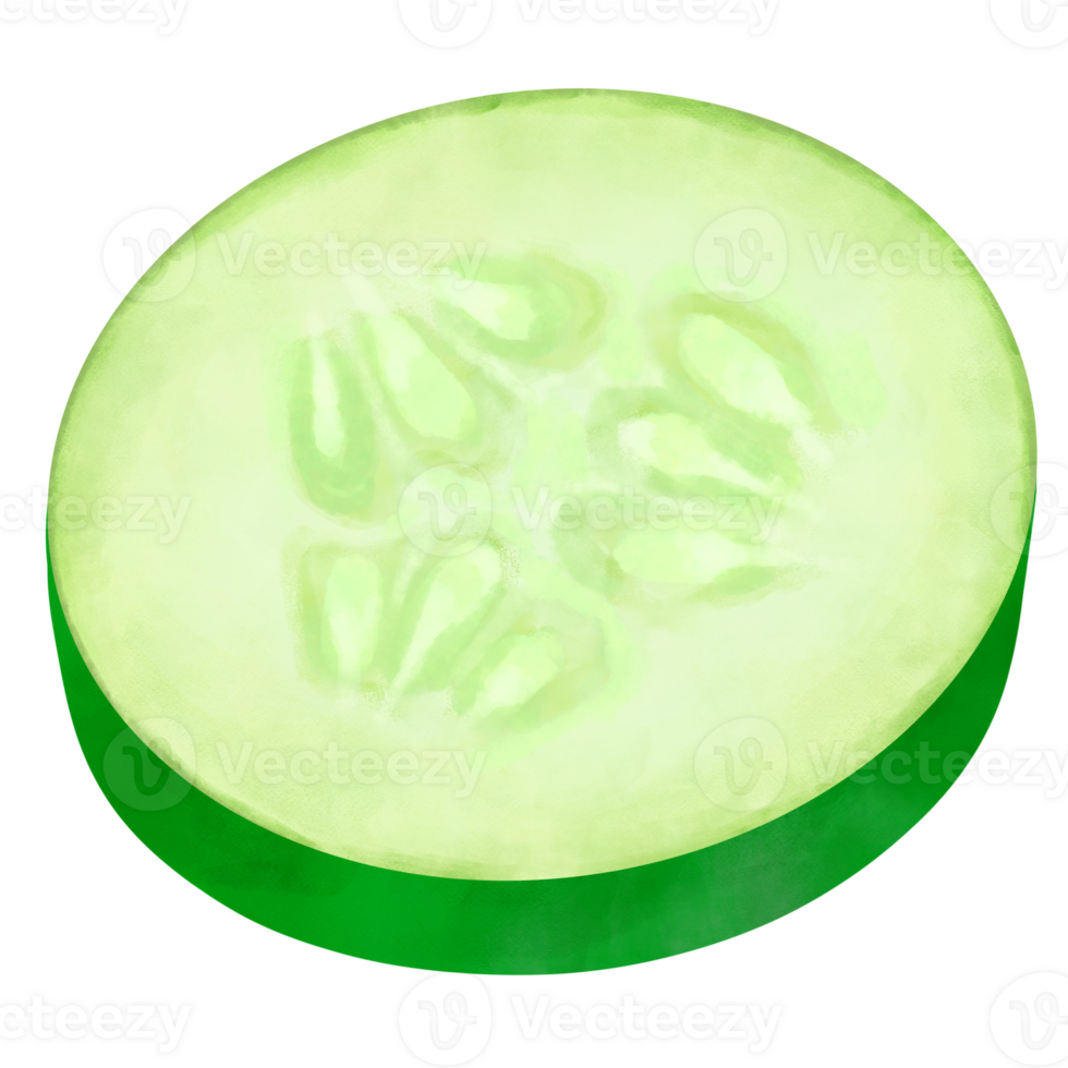 Hand Drawn Single Fresh Green Cucumber Slice Illustration Cartoon Watercolor 27147797 PNG