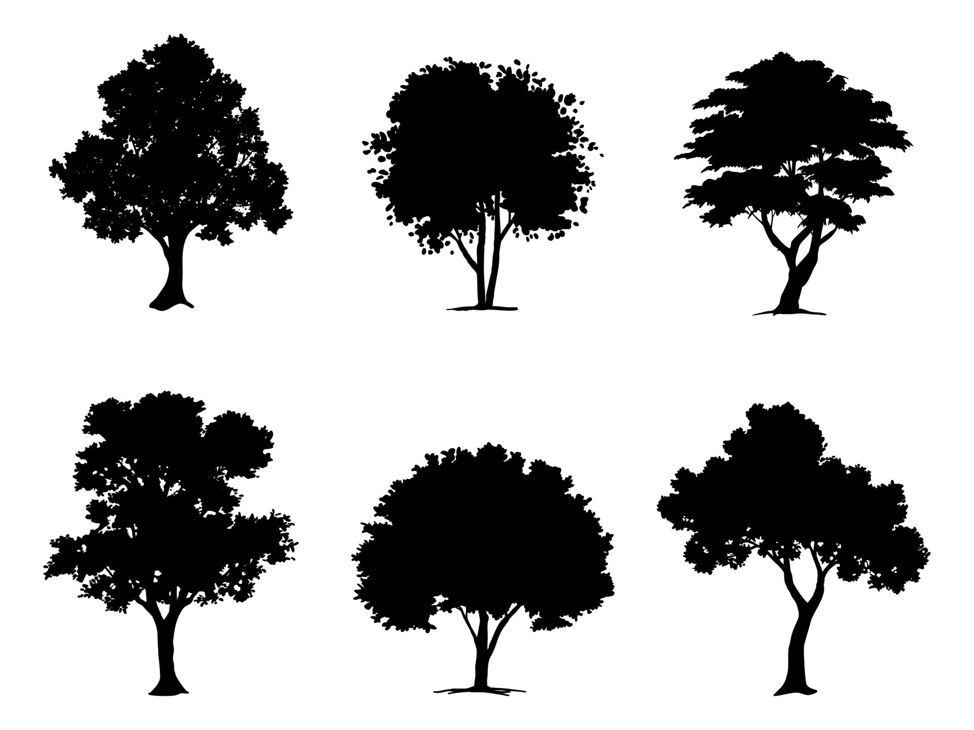 collection isolated tree Symbol silhouette style on white background ...