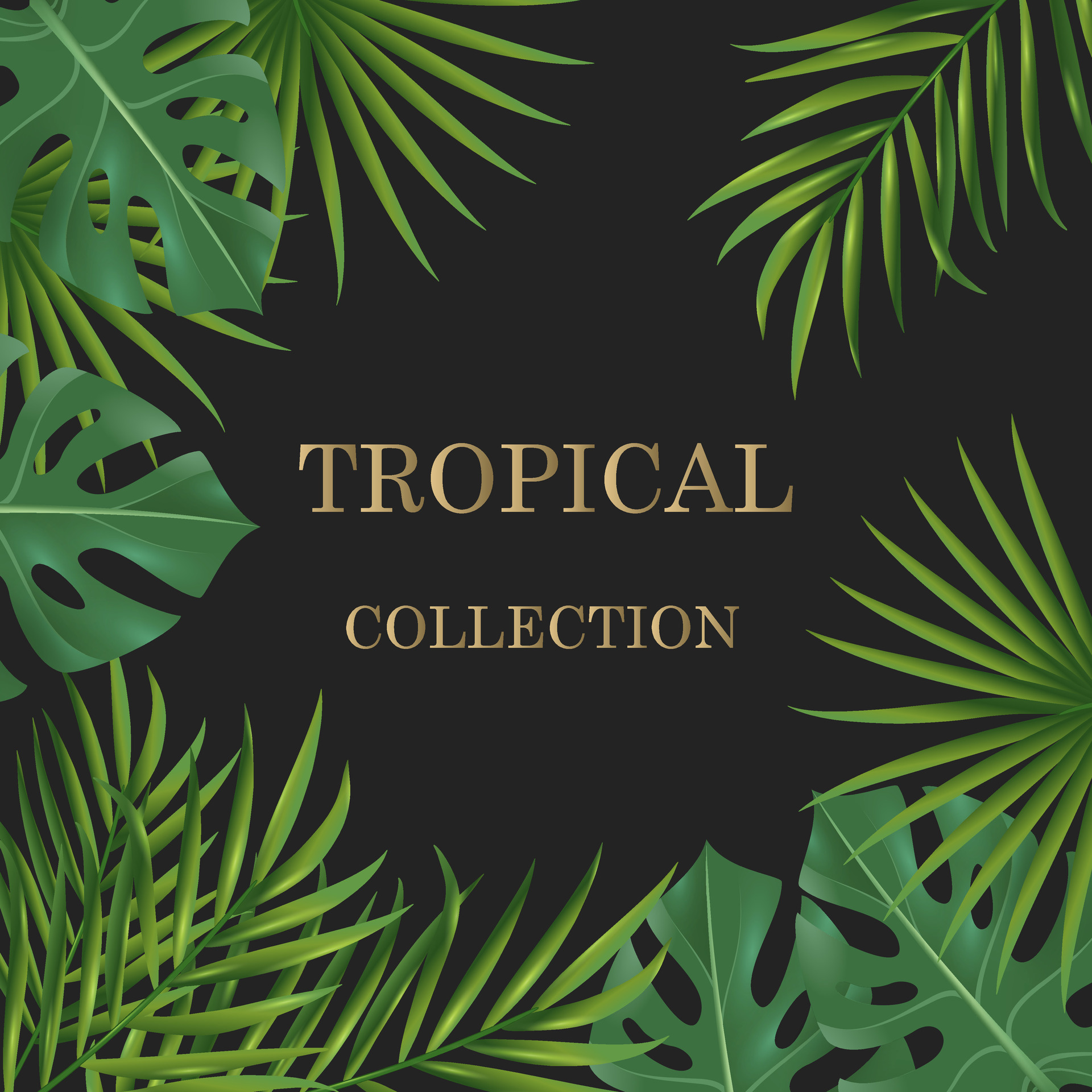 vector pancartas con verde tropical hojas, selva. exótico botánico ...