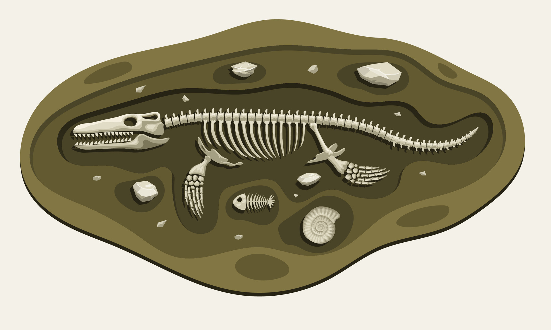 Illustration Of Cartoon Ichthyosaurus Dinosaur Fossil Stock, 54% OFF Illustration Of Cartoon Ichthyosaurus Dinosaur Fossil Stock, 54% OFF