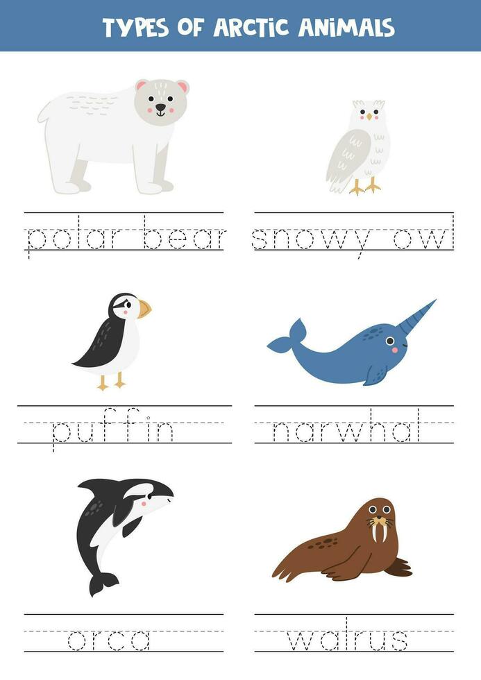 Tracing names of arctic animal types. Writing practice. 27176970 Vector ...