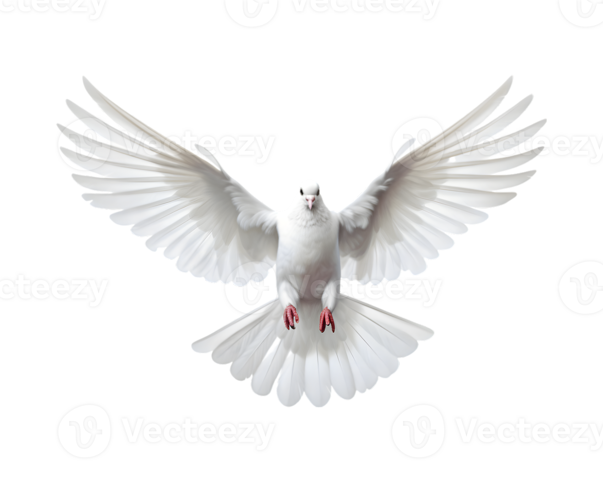 white dove flying free with open wings, front view isolated on a transparent background 27182630 PNG