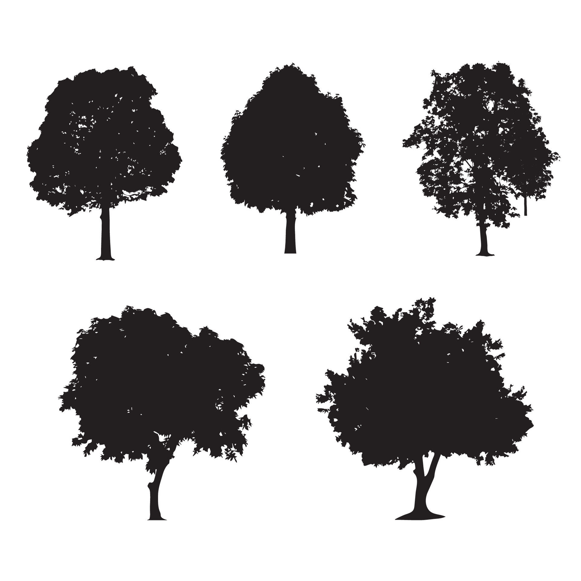 Vector set of plant and tree silhouette 27198393 Vector Art at Vecteezy