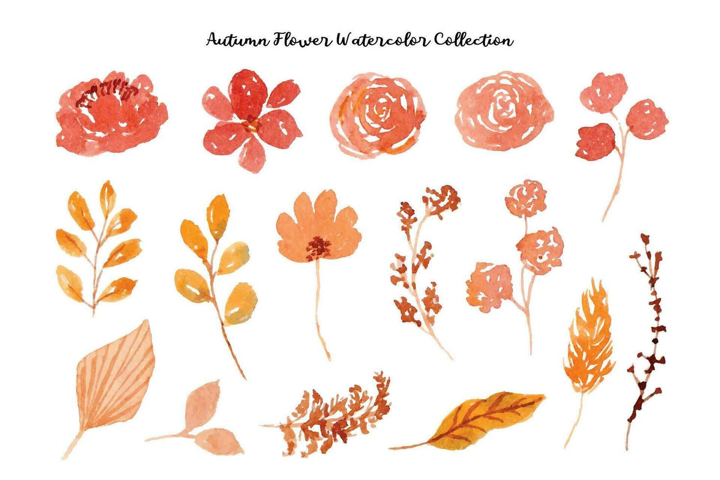 Vintage Autumn Flower and Leaf Watercolor Collection 27199312 Vector ...