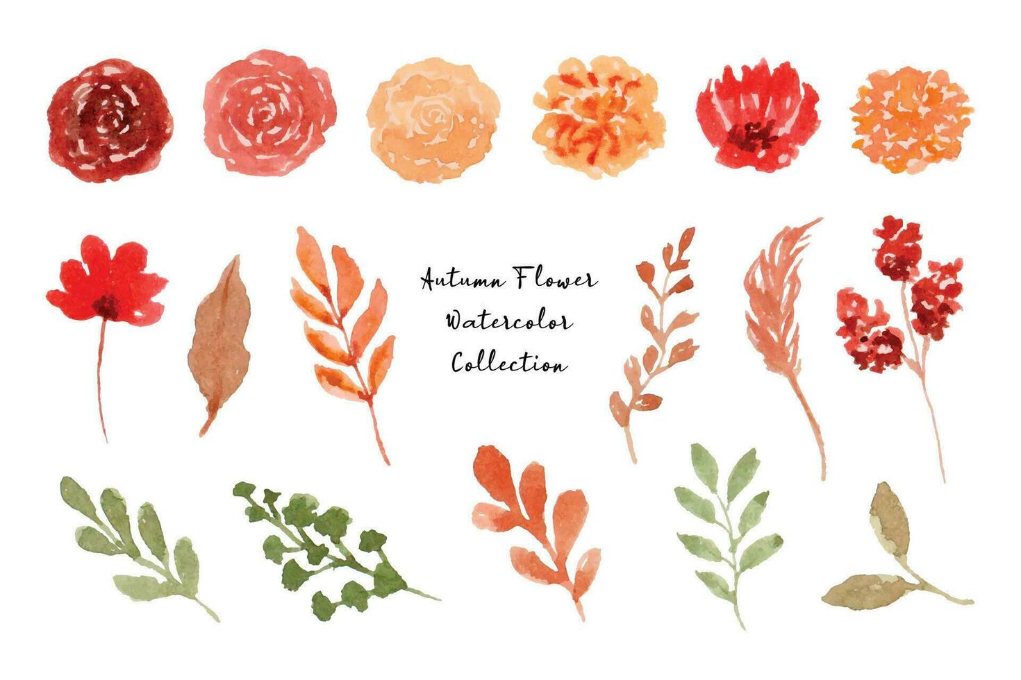Vintage Autumn Flower and Leaf Watercolor Collection 27199317 Vector ...