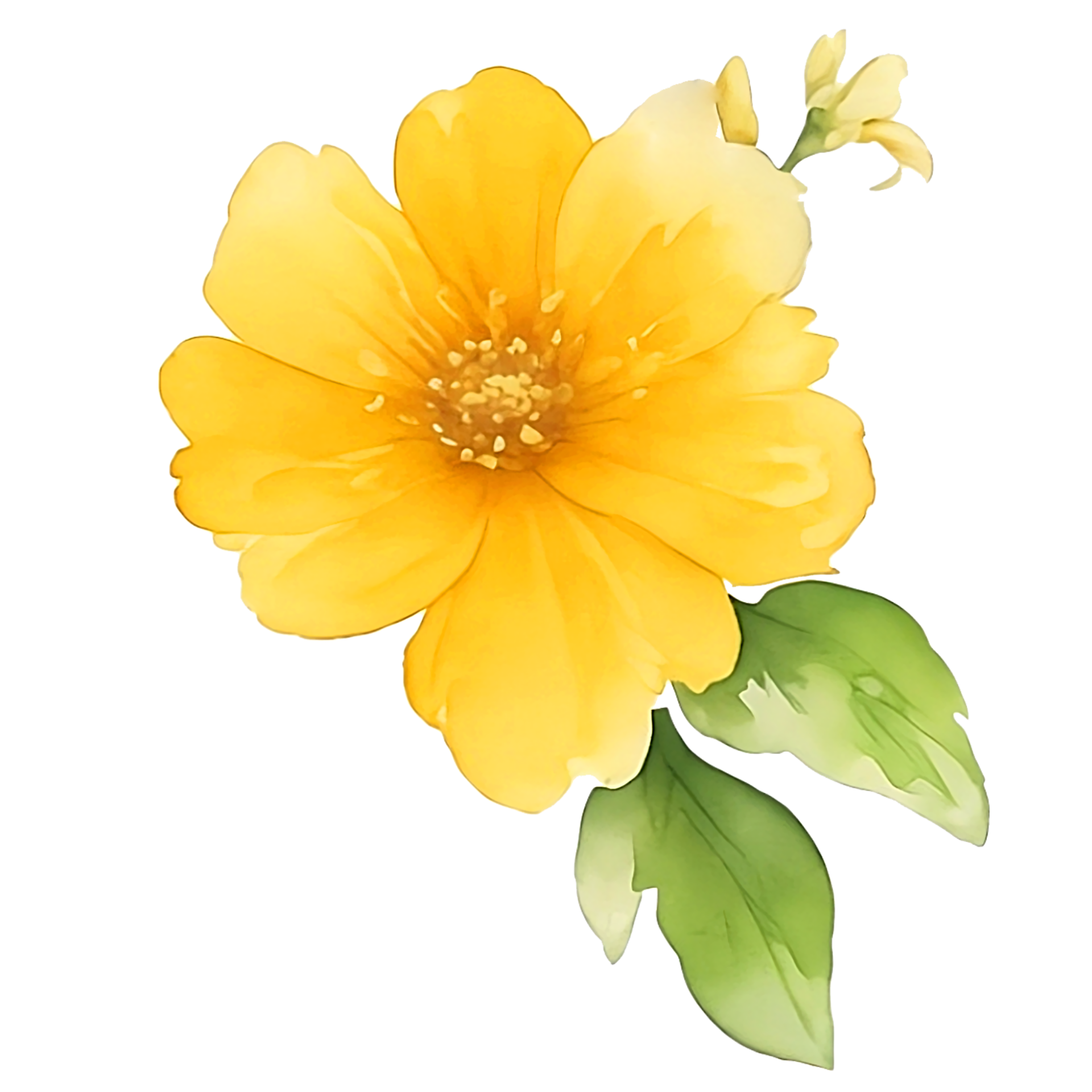 Yellow Flower Watercolor 27201380 Png