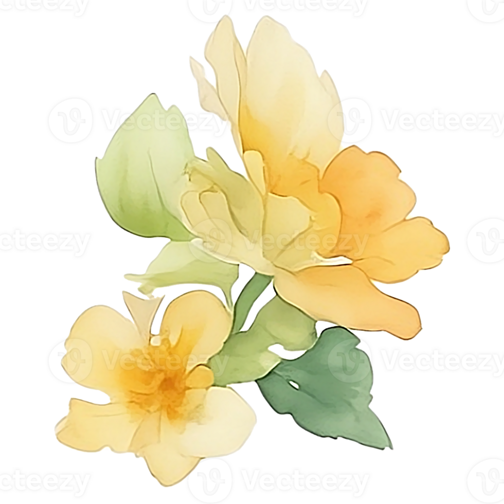 Yellow Flower Watercolor 27201381 Png