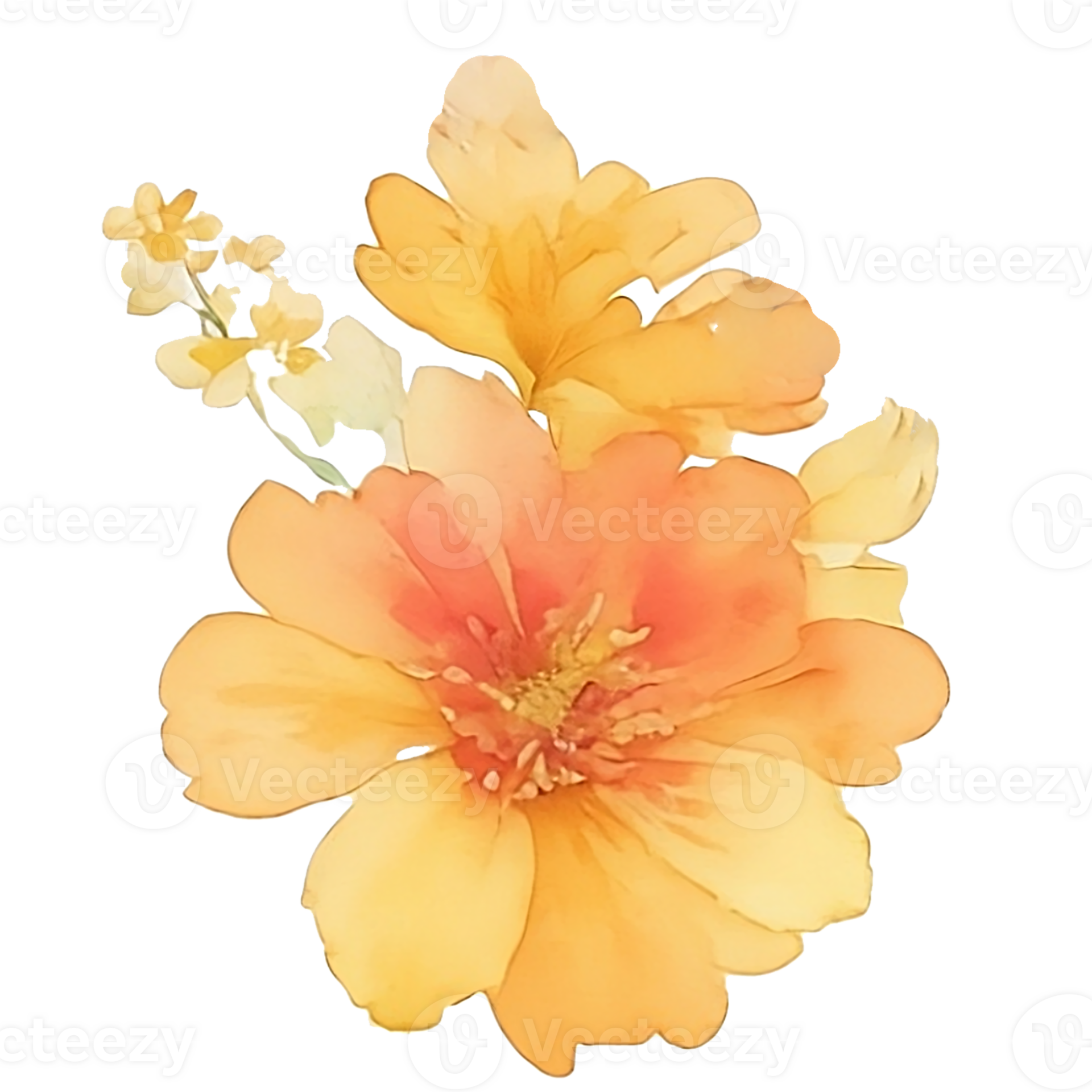 Yellow Flower Watercolor 27201383 Png