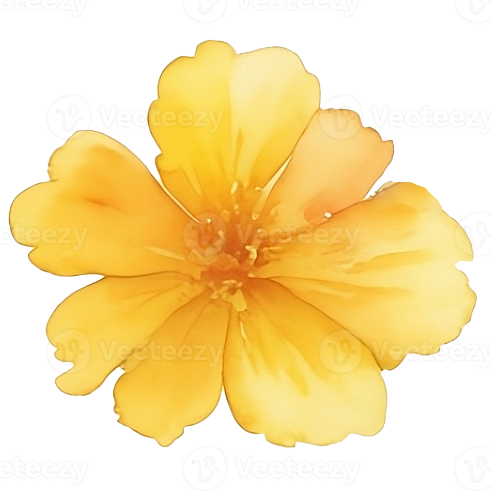 Yellow Flower Watercolor 27201391 Png