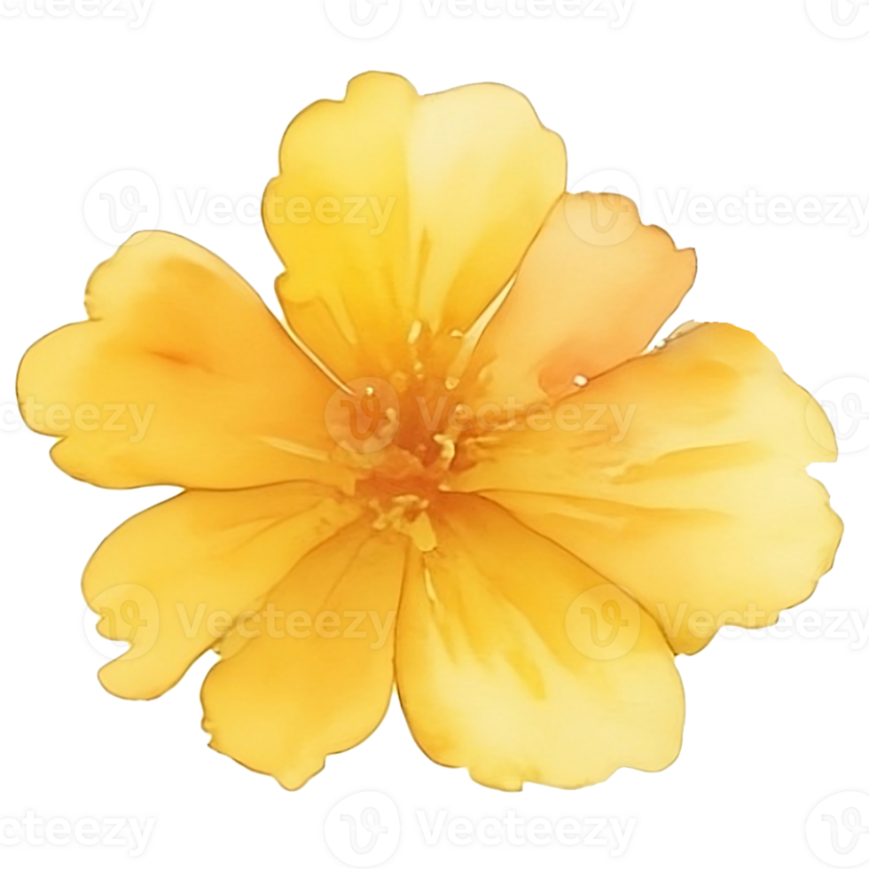 Yellow Flower Watercolor 27201391 Png