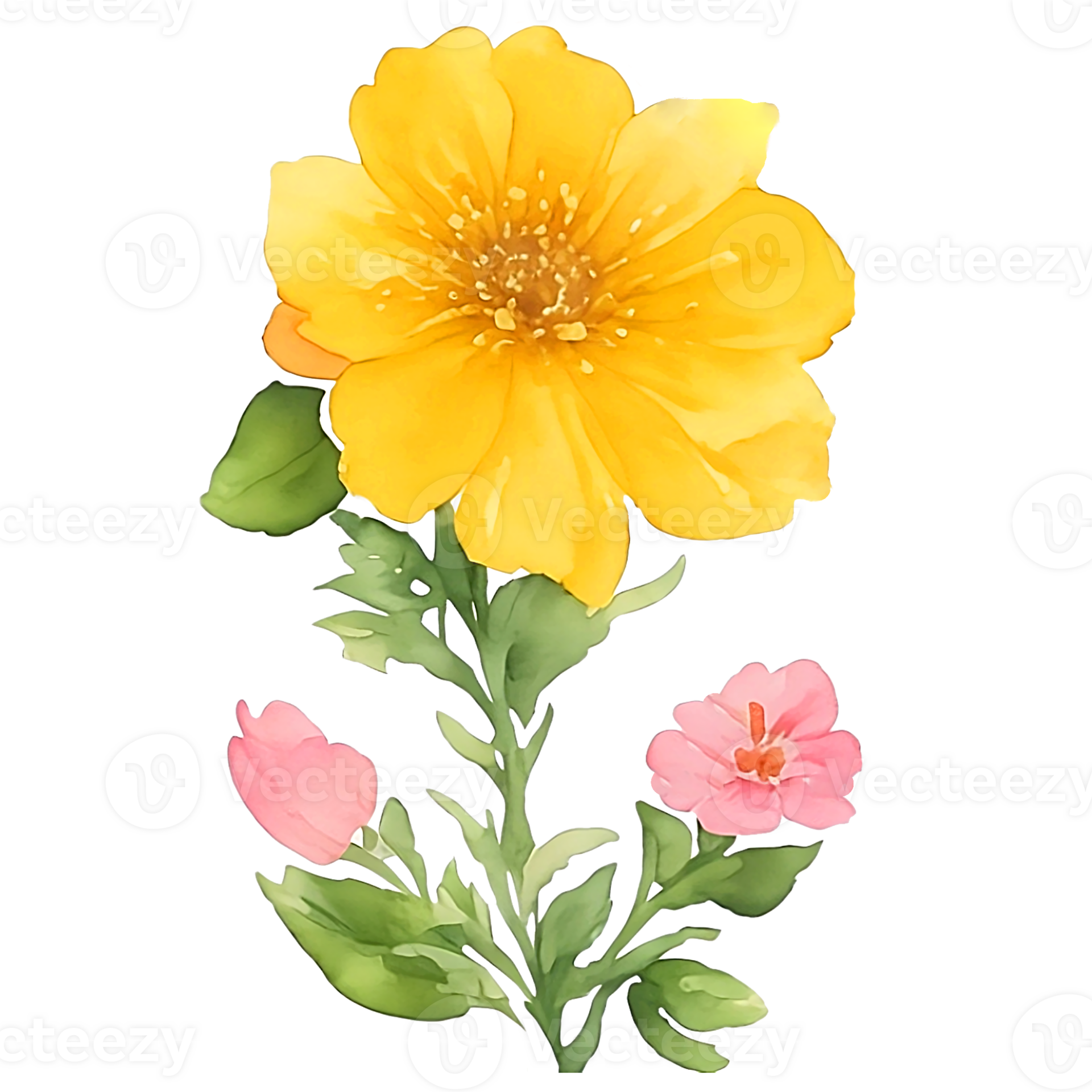 Yellow Flower Watercolor 27201393 Png