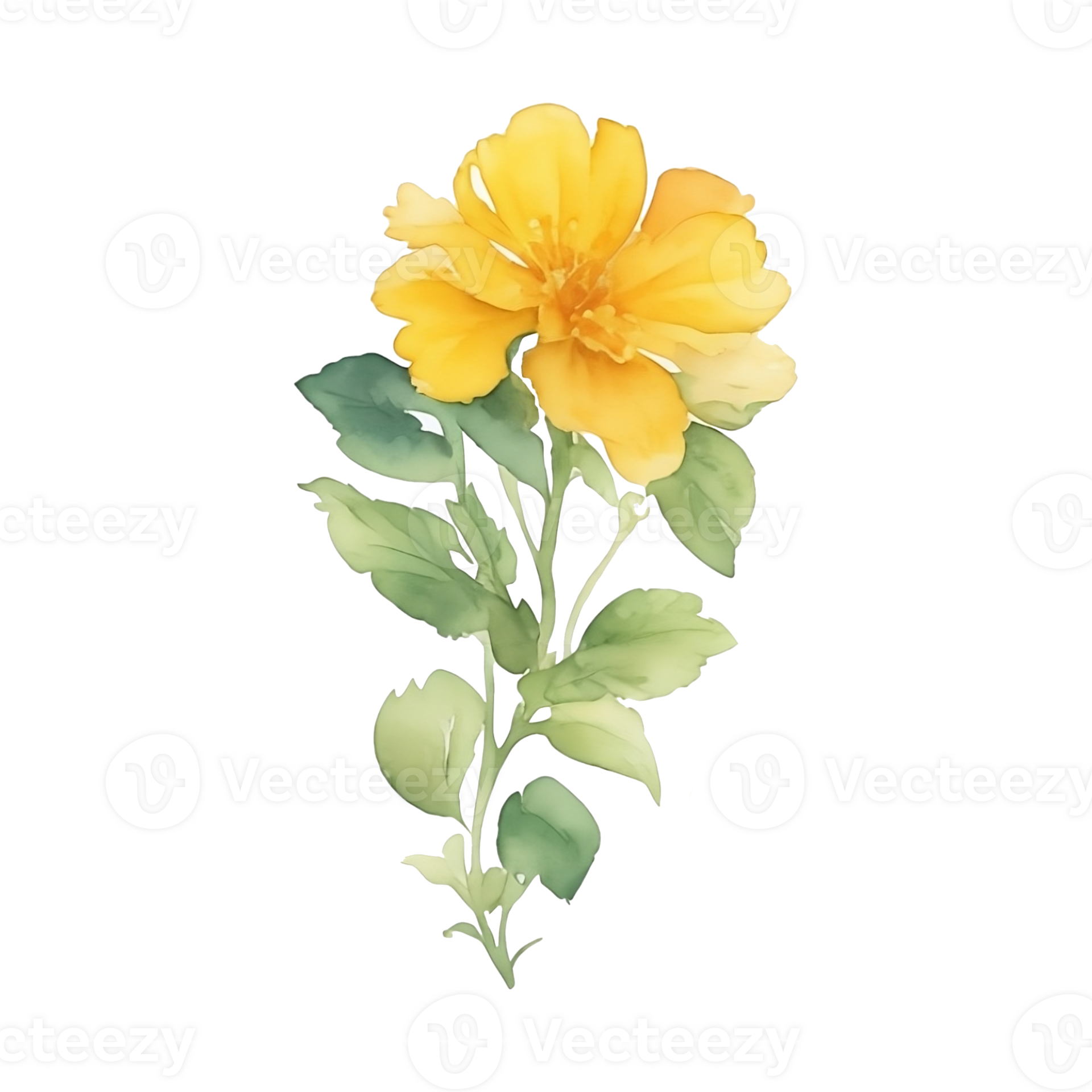 Yellow Flower Watercolor 27201398 Png