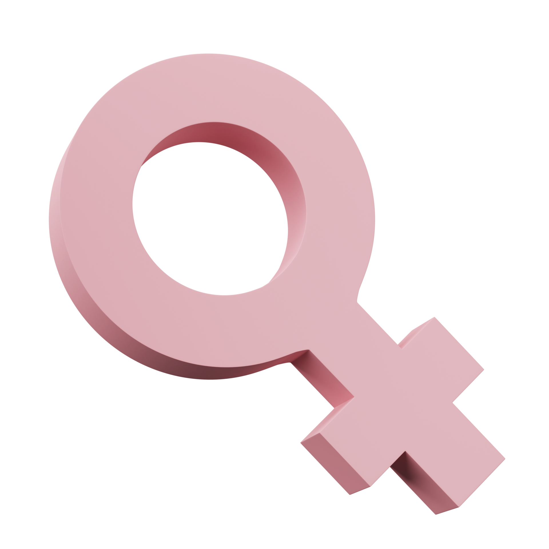 Feminist Symbol Png
