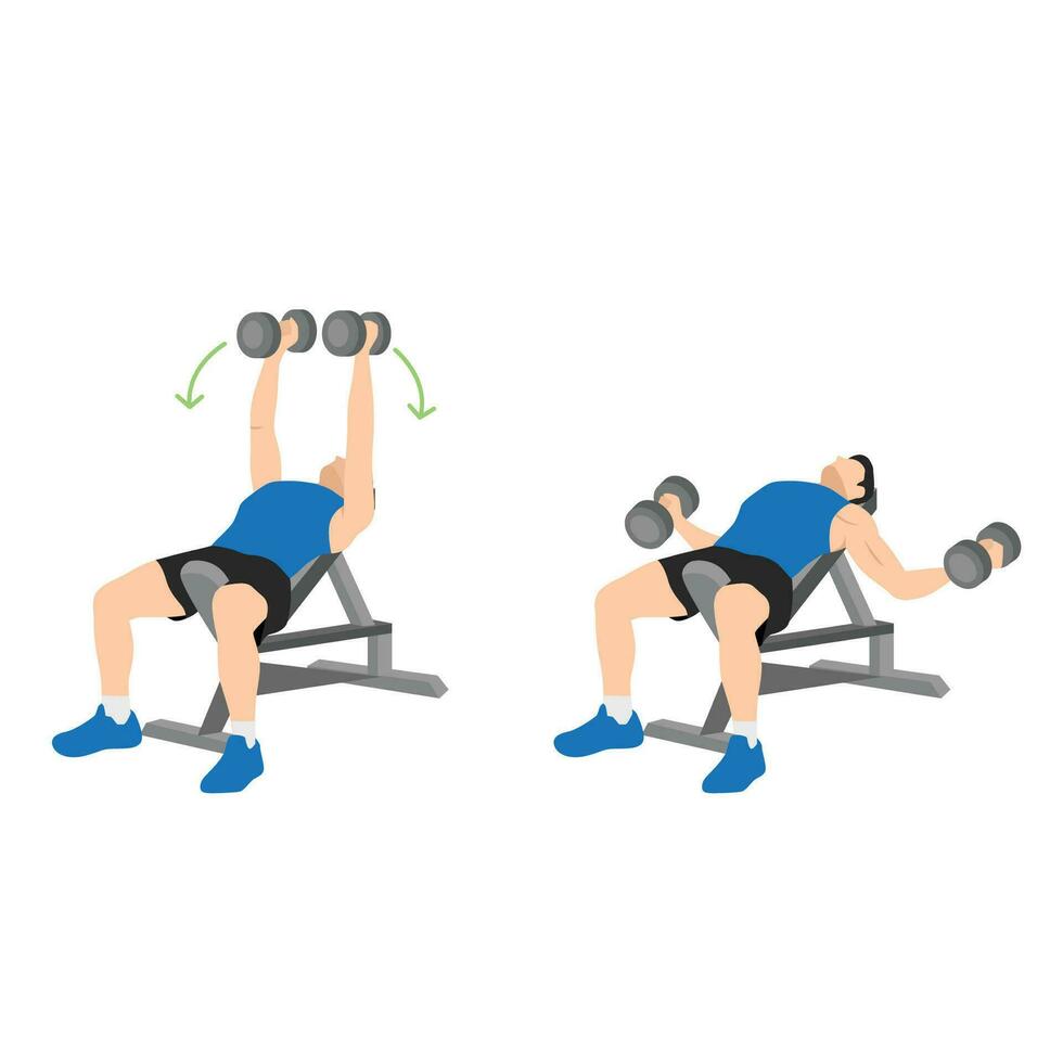 Man doing Incline bench dumbbell flyes exercise. Flat vector illustration isolated on white ...