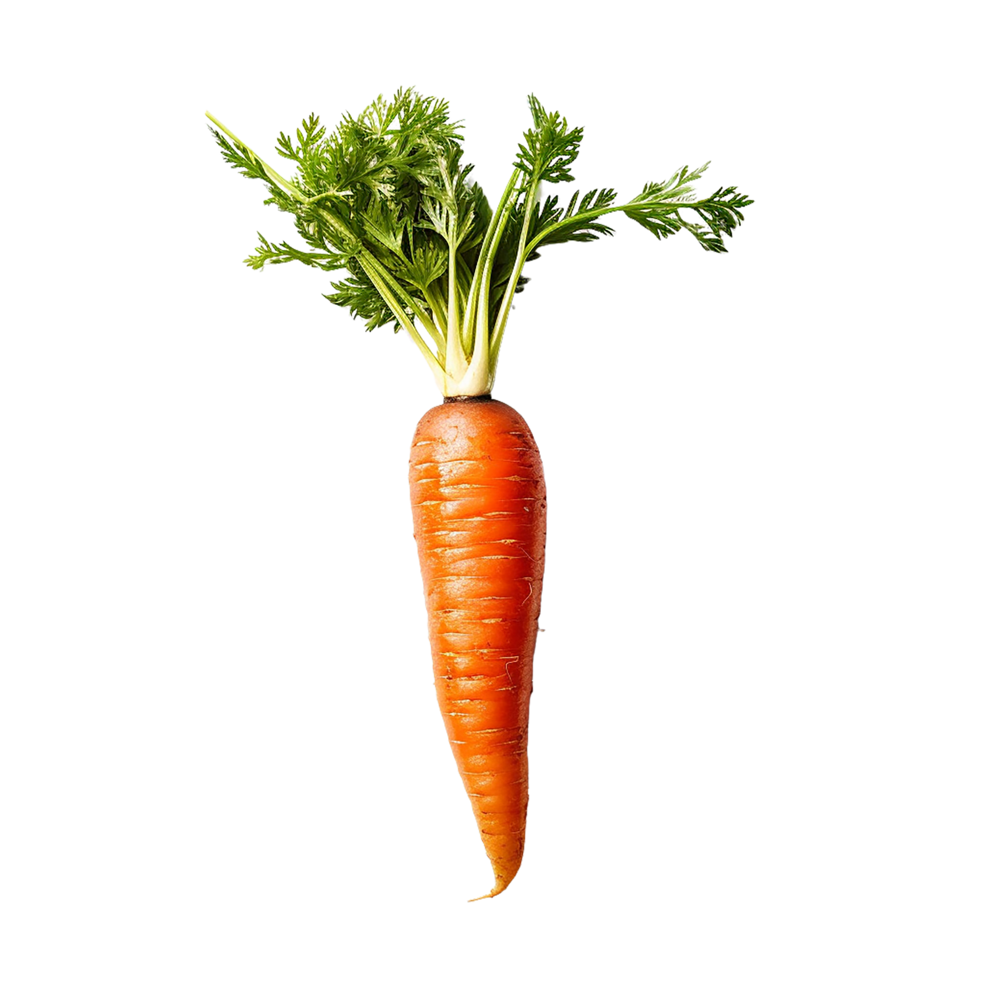 Red Carrot, Red Carrot Png, Transparent Background, AI Generated 27216290 PNG