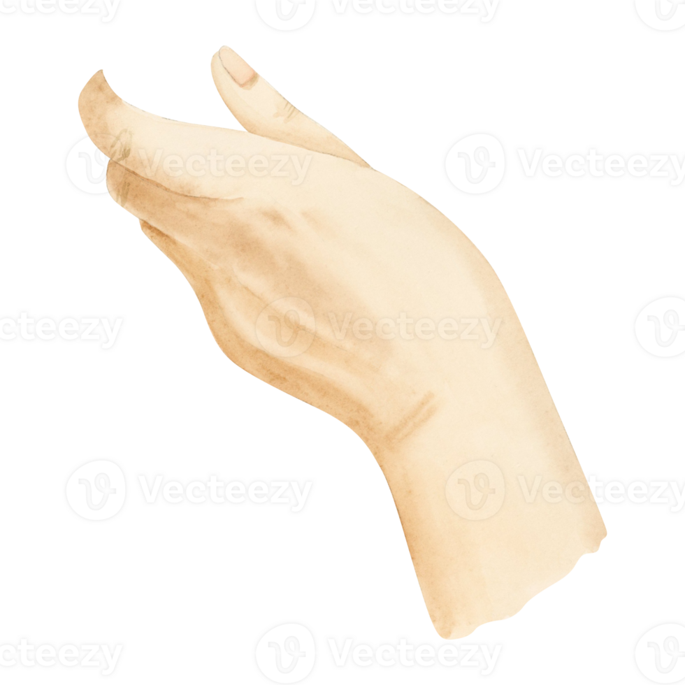 Hand Skin Clipart Hand Skin Clipart