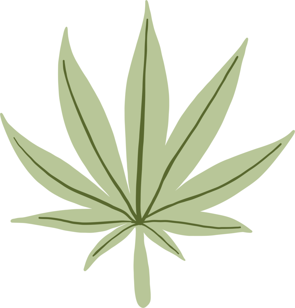 Simplicity Cannabis Leaf Freehand Drawing 27244946 Png