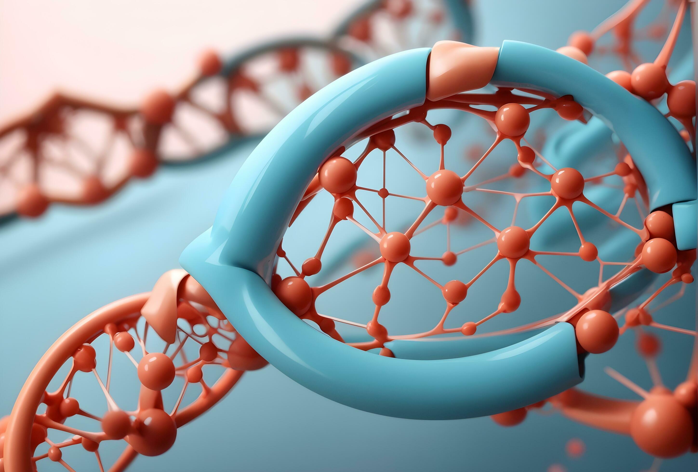 Dna Structure 3d Model