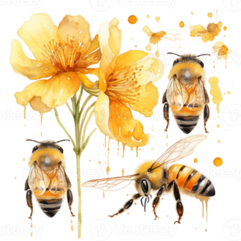 Watercolor Honey bee in summer time 27257606 PNG