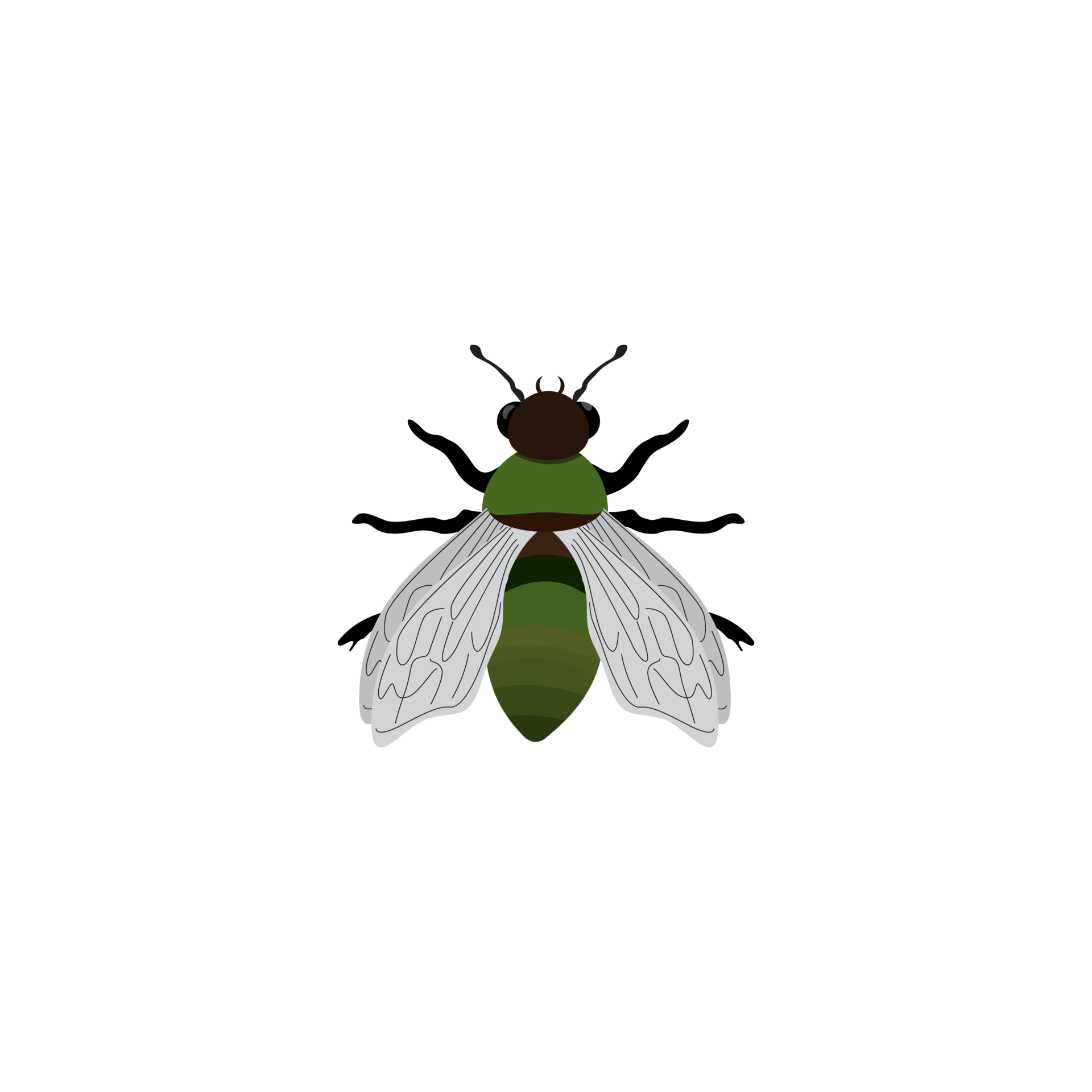 Augochlorine Sweat Bee of the Tribe Augochlorini, an Augochlora pura ... Augochlorine Sweat Bee of the Tribe Augochlorini, an Augochlora pura ...