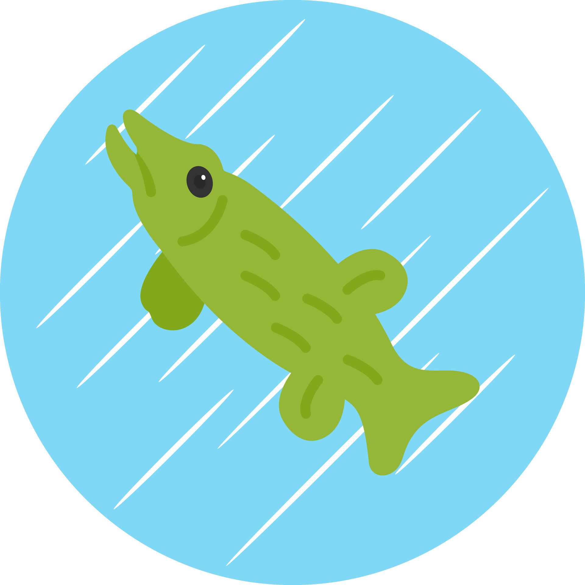 Northern pike Vector Icon Design 27270017 Vector Art at Vecteezy