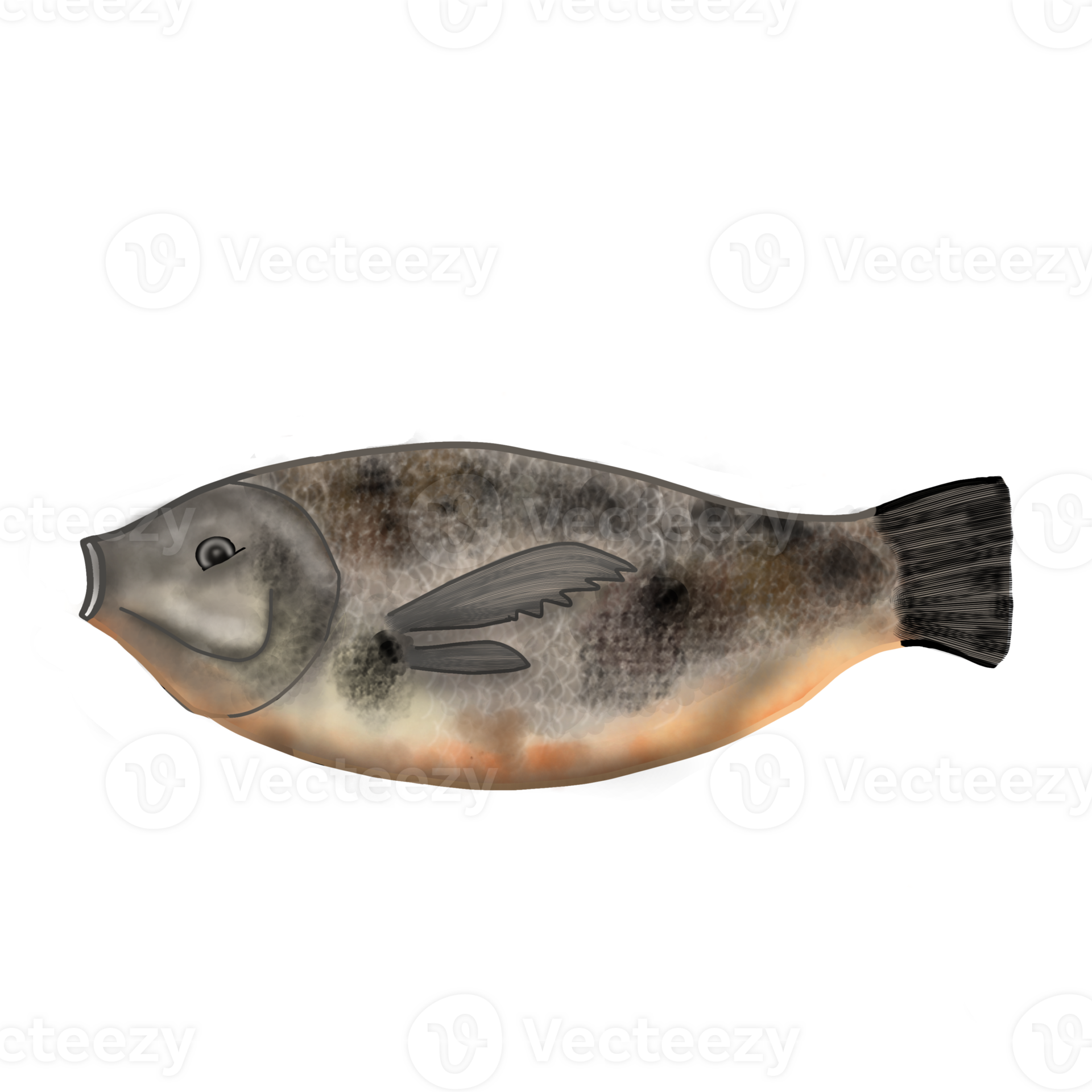Grilled fish seafood illustration 27310185 PNG Grilled fish seafood illustration 27310185 PNG