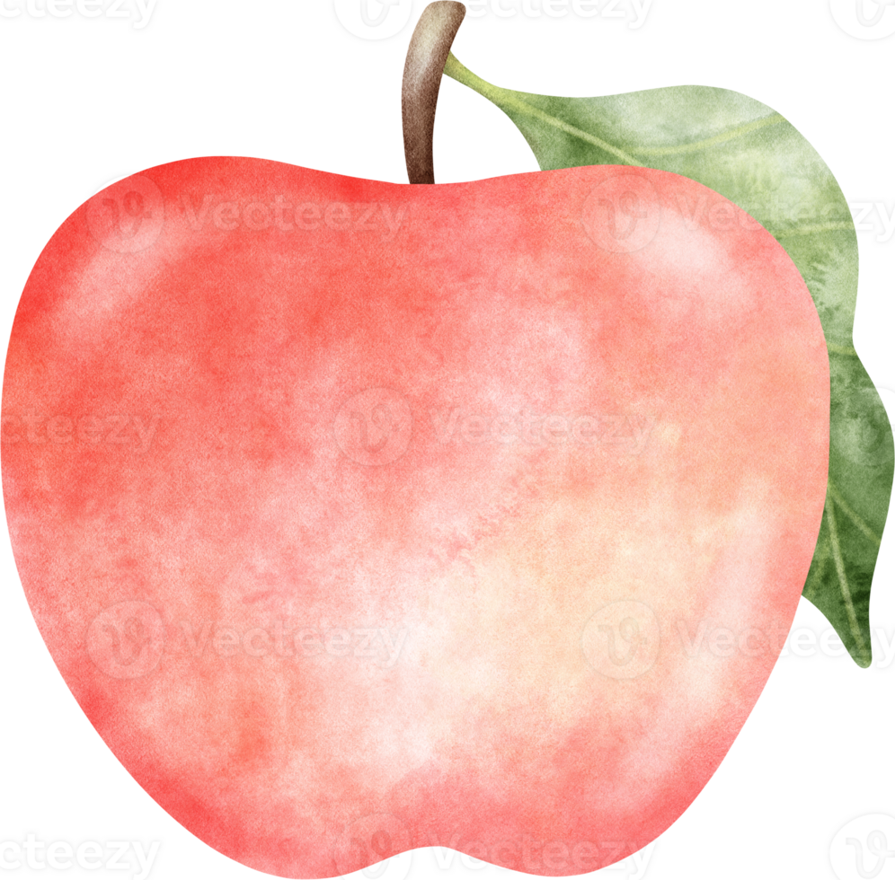 Watercolor Apple illustration 27379832 PNG