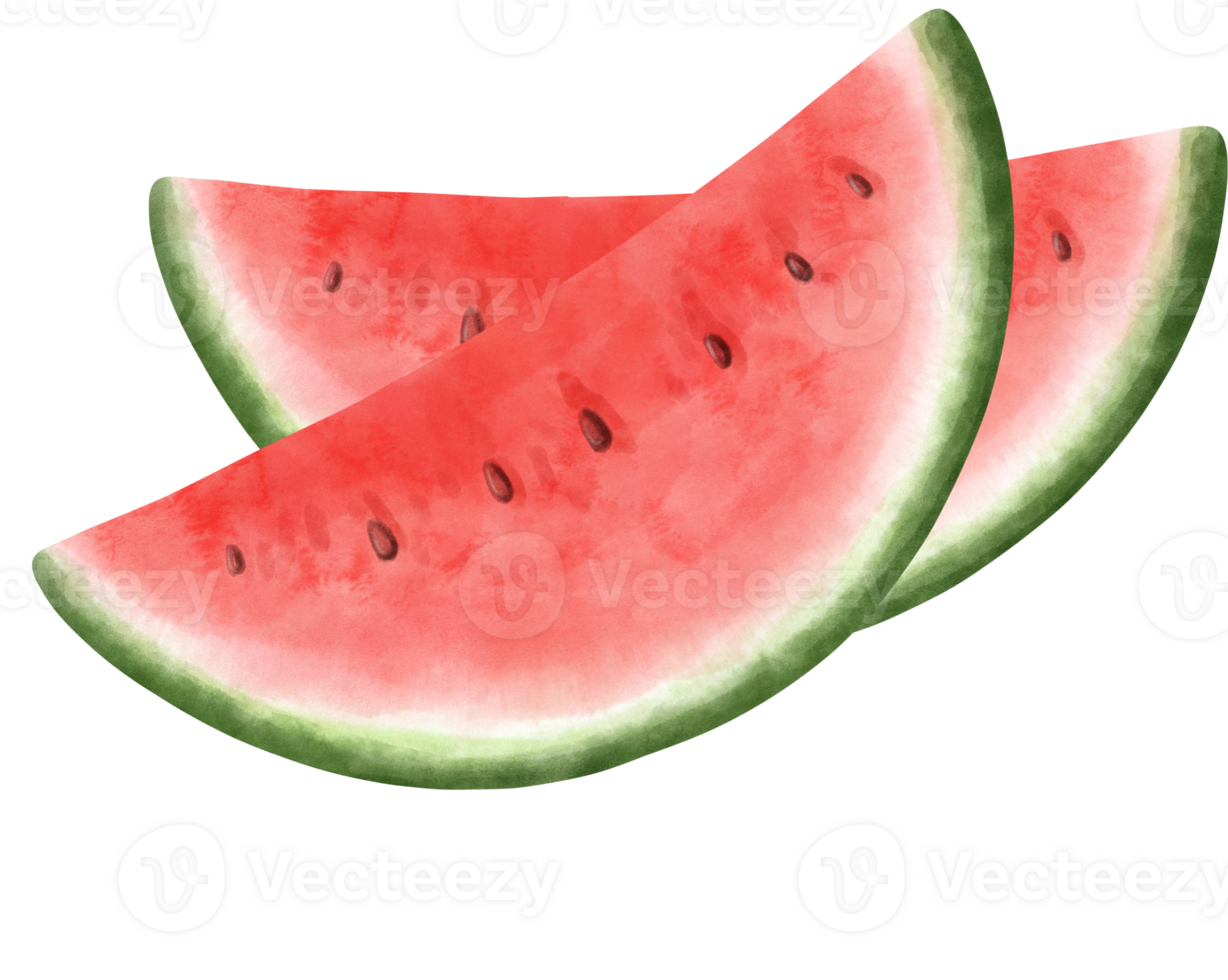 Watercolor Watermelon Illustration 27380071 Png